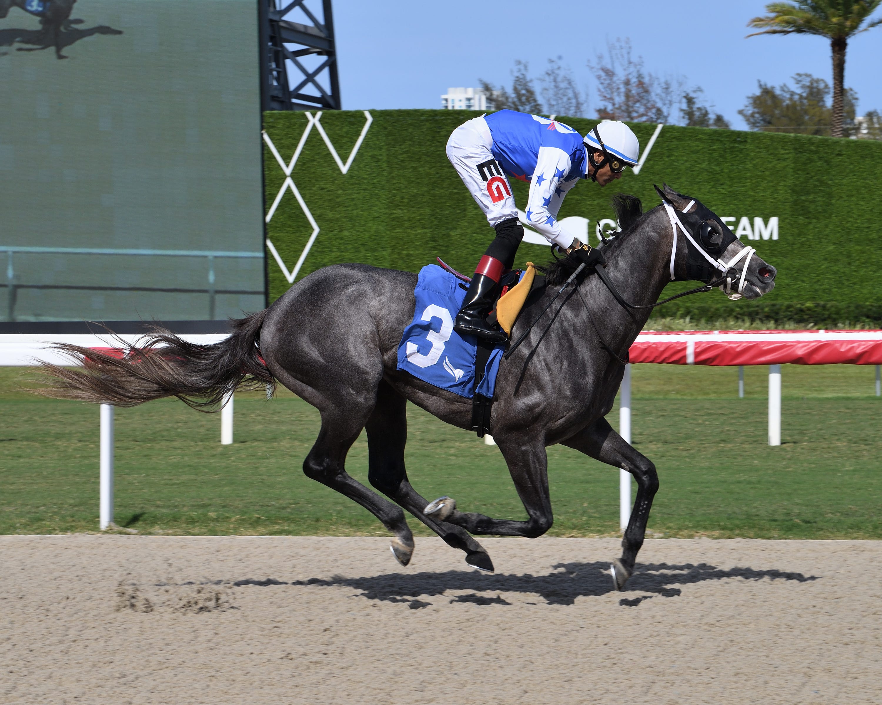 Unbeaten this year, Iron Hand meets new challengers