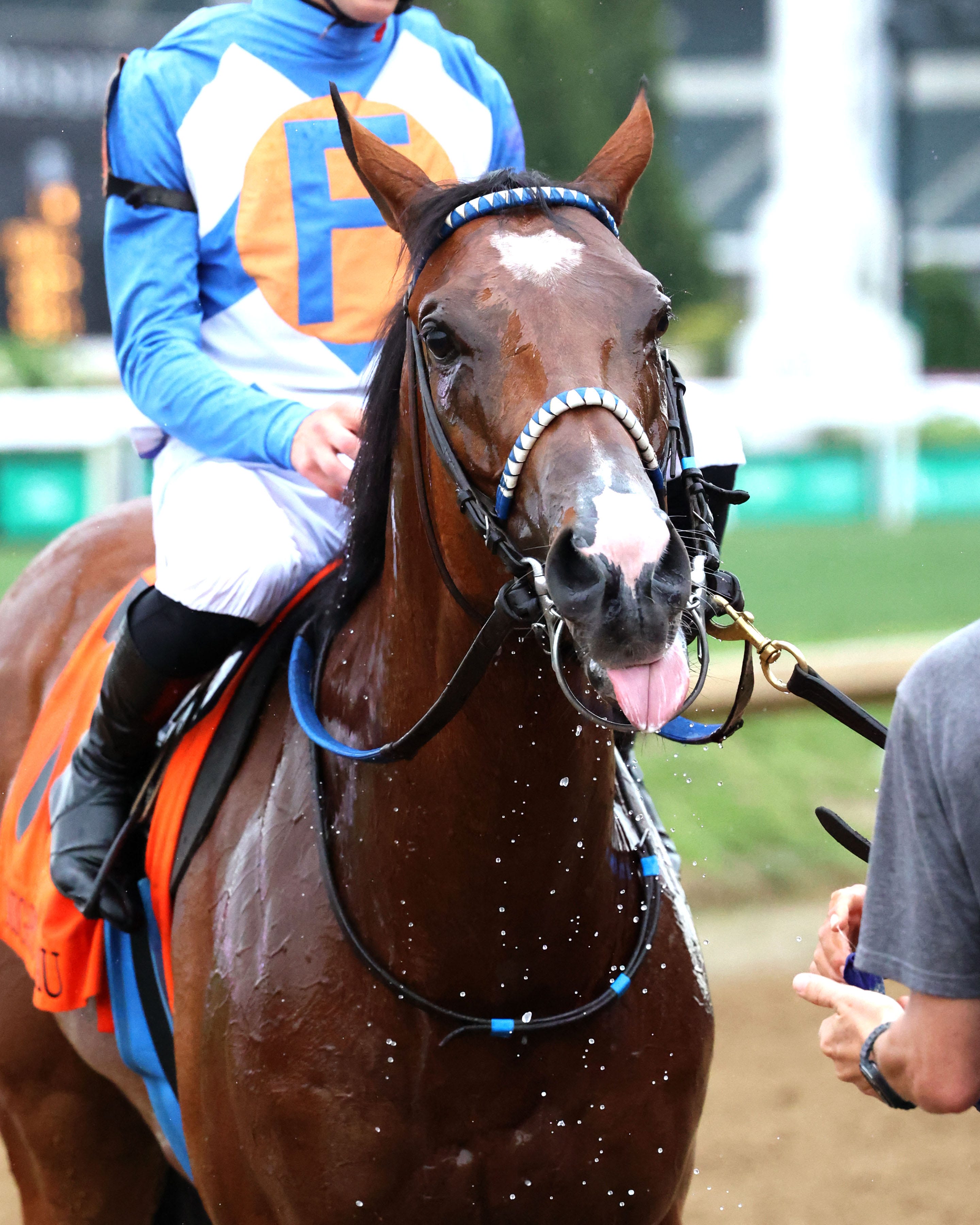 Joe Shiesty sets Mighty Beau record in win