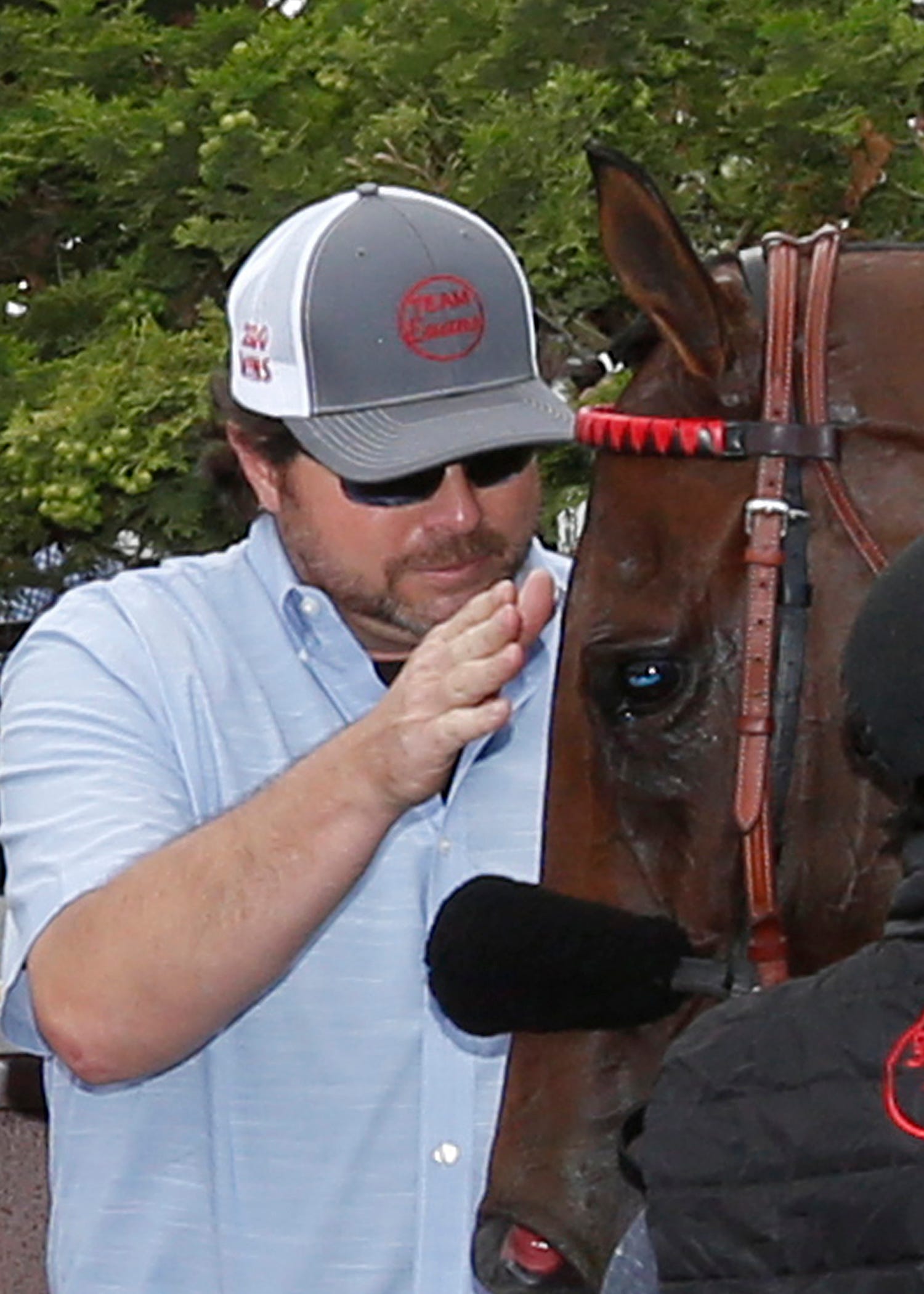 Evans hunts for another win with ‘family favorite' Surprsinglyperfect