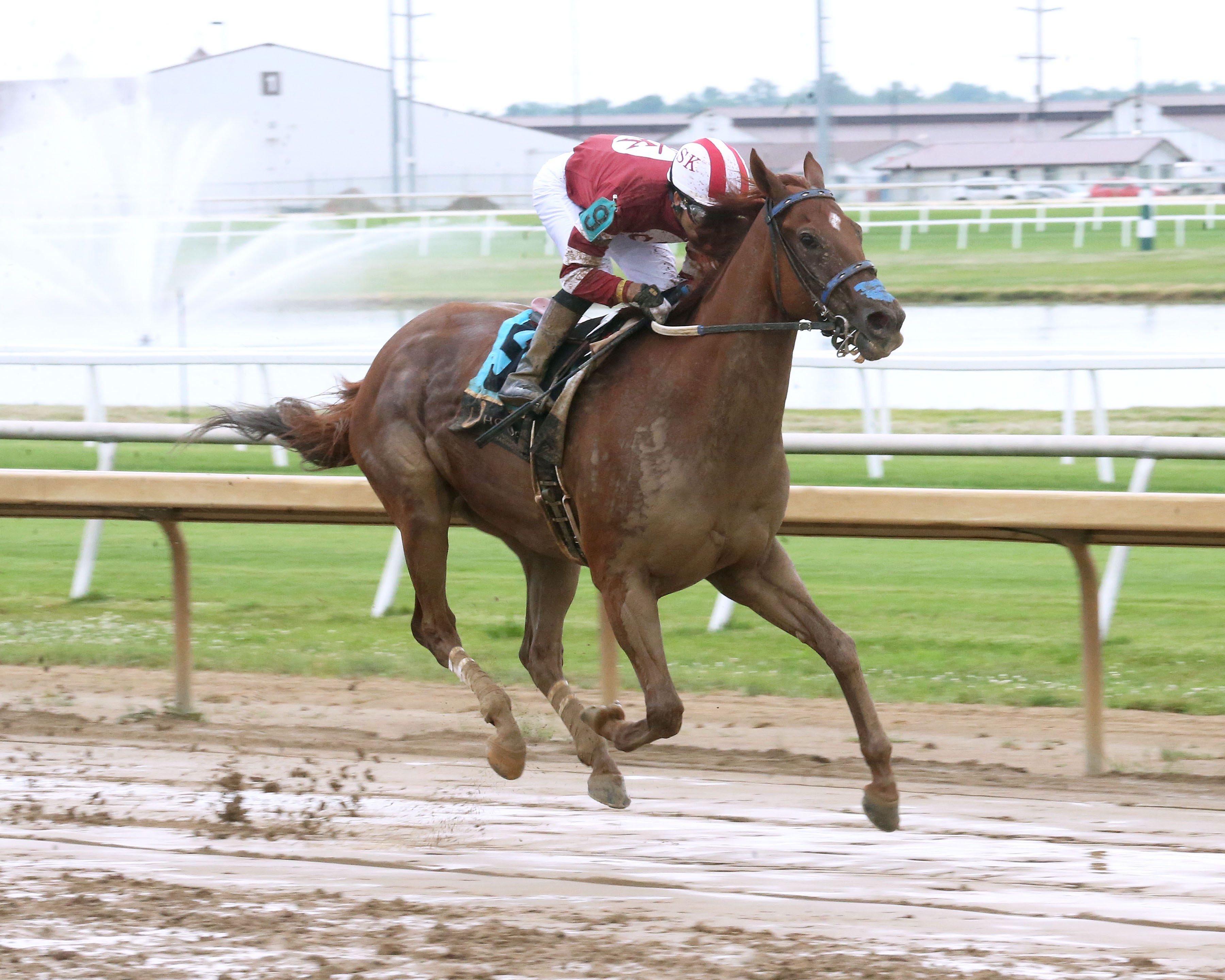 Ramos steers Latigo to victory in Nobody Listens Stakes