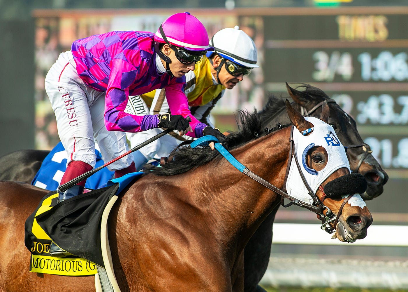 Motorious faces big challenge racing against Bran in Daytona Stakes