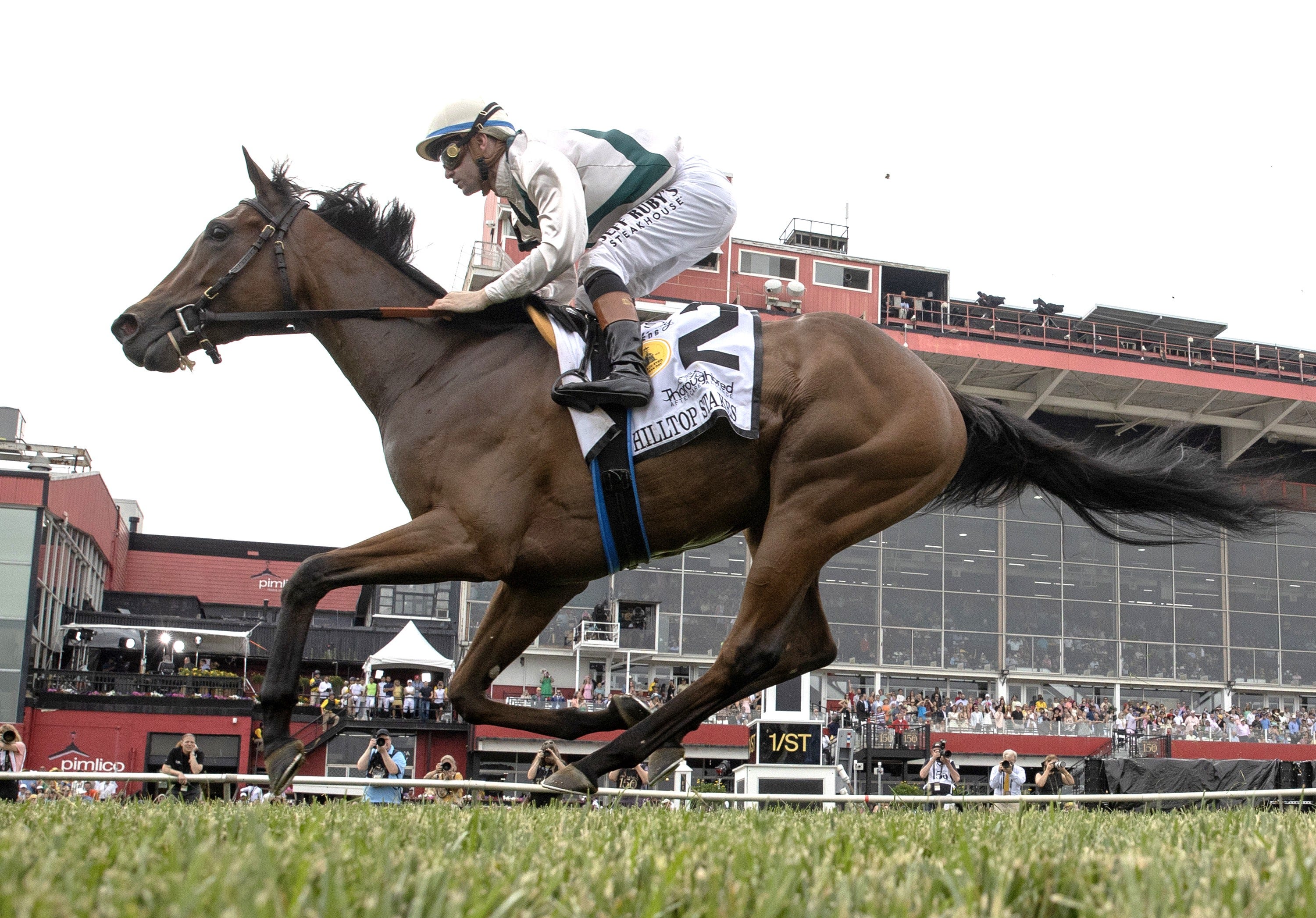 Brown running three up-and-comers in Wild Applause