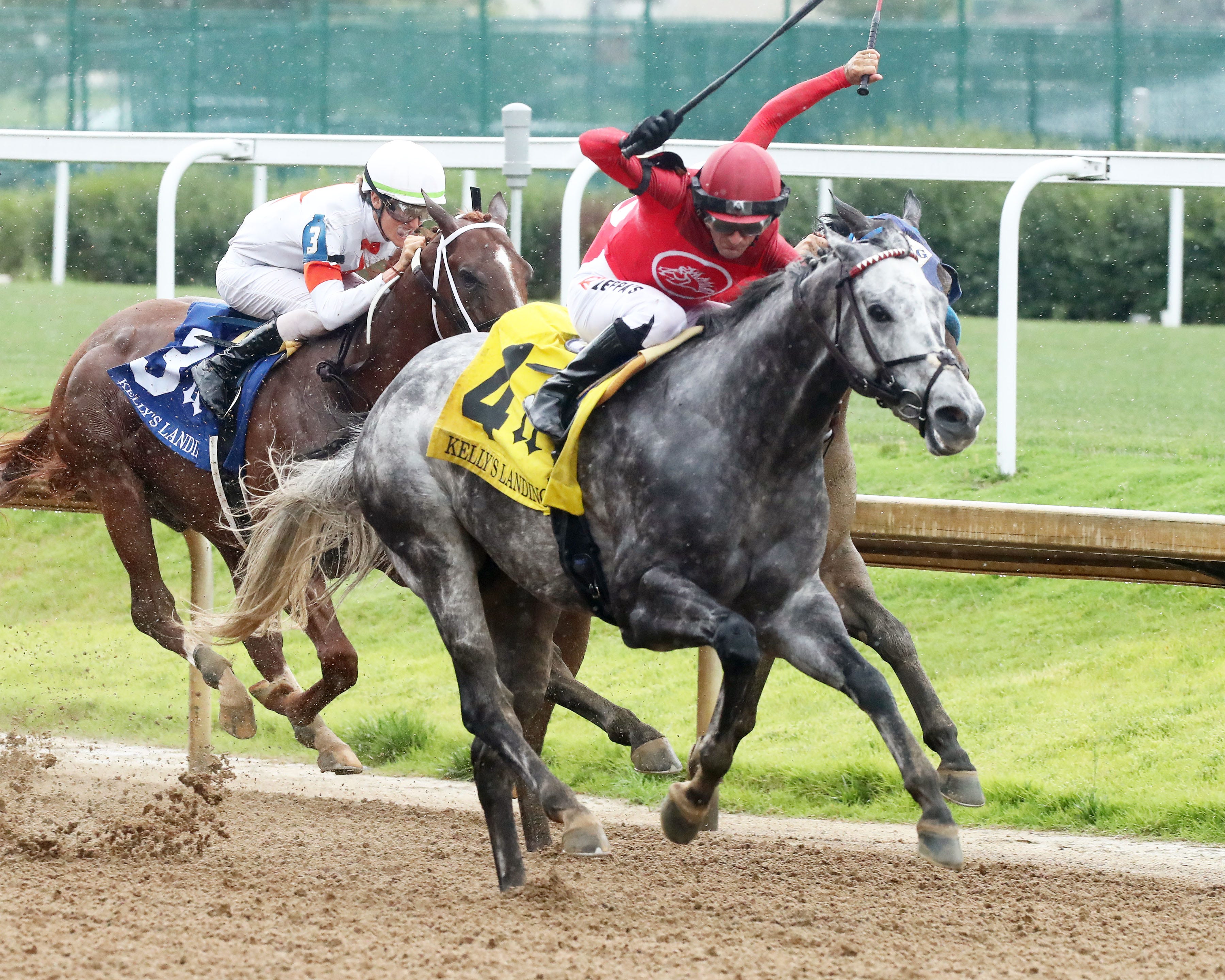 Roll On Big Joe holds off Dr. Venkman in Kelly's Landing