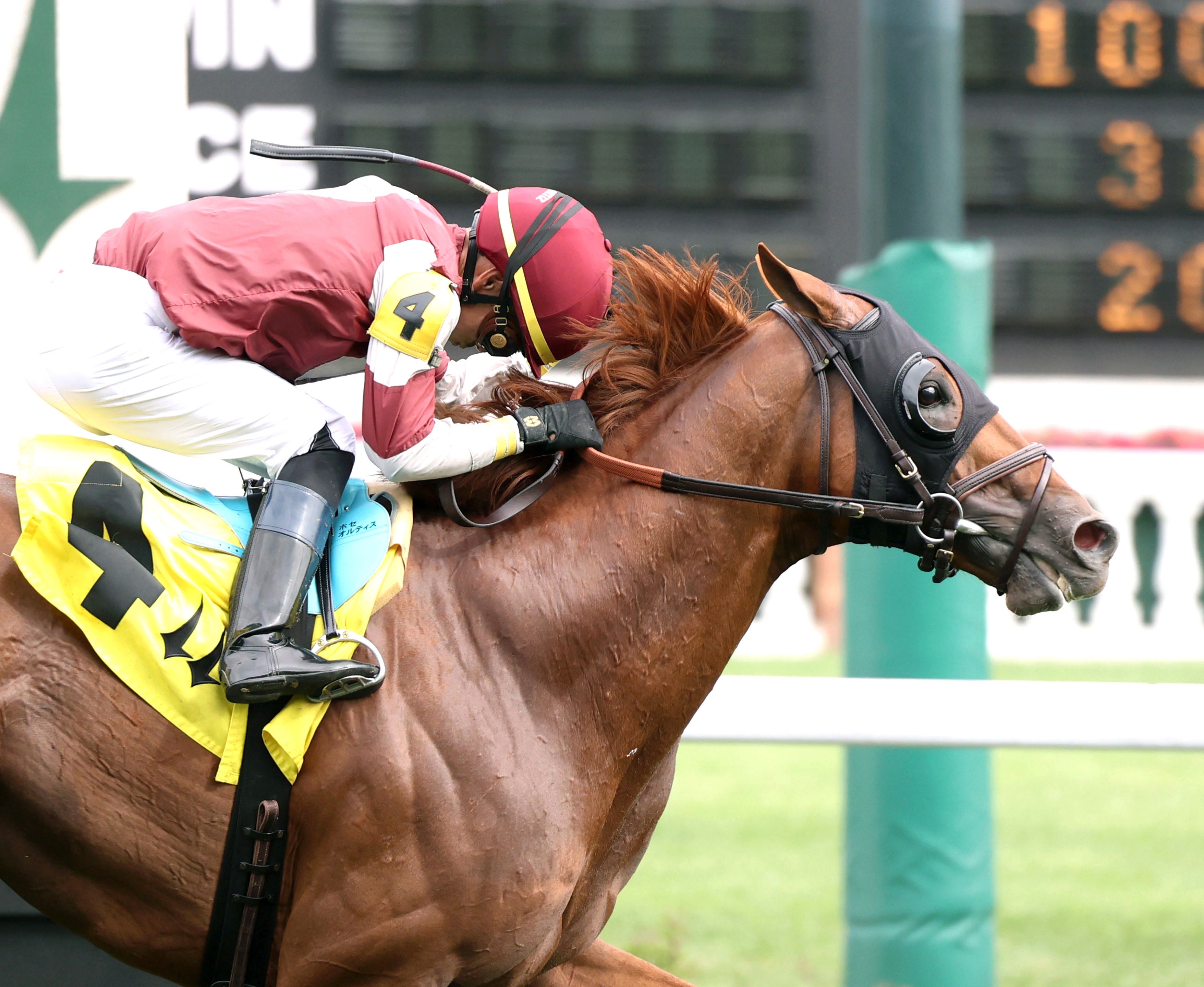 It's been a long road for Chorleywood winner Rebel Red