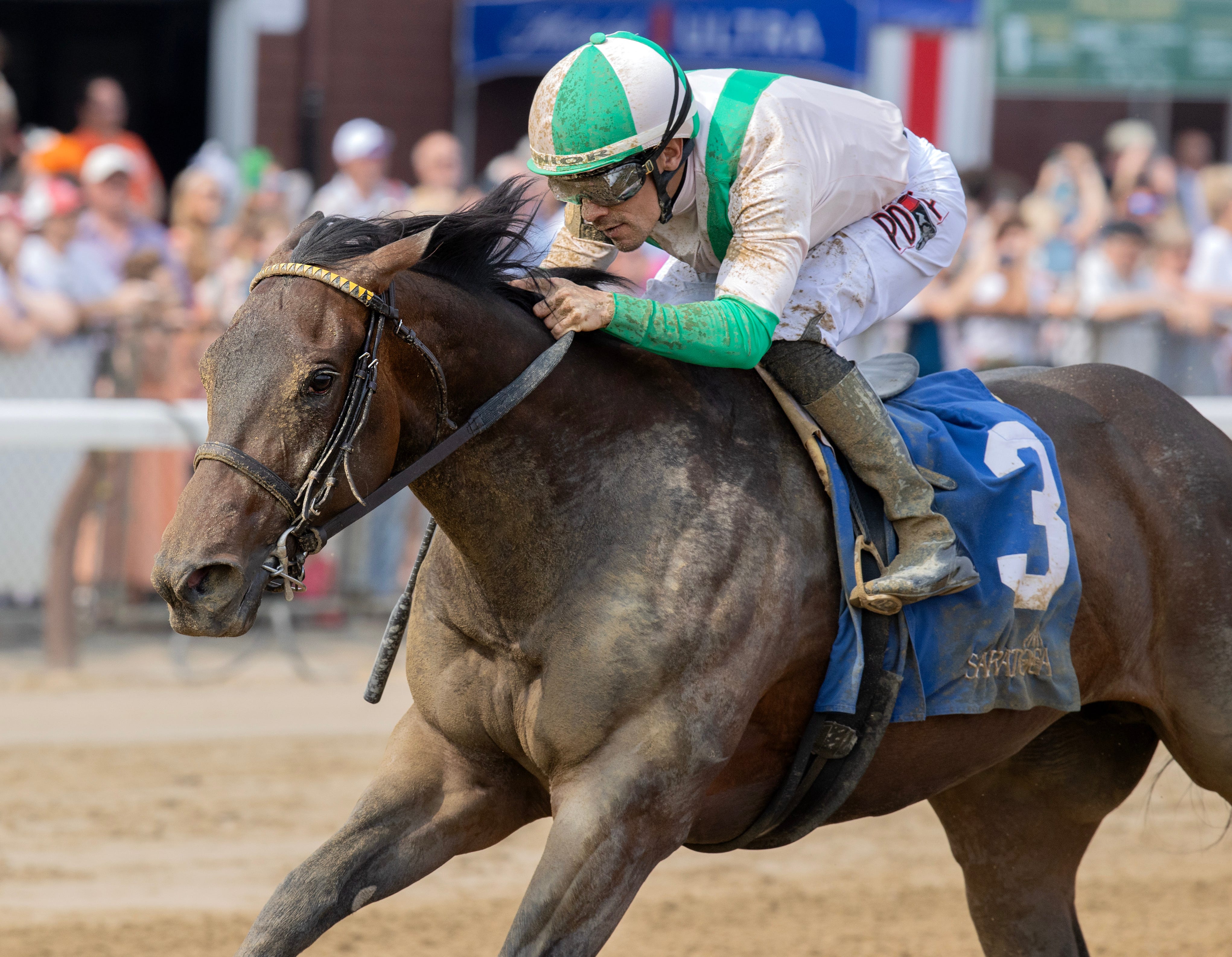 Saturday Flirt has easy time with off-the-turf Soaring Softly