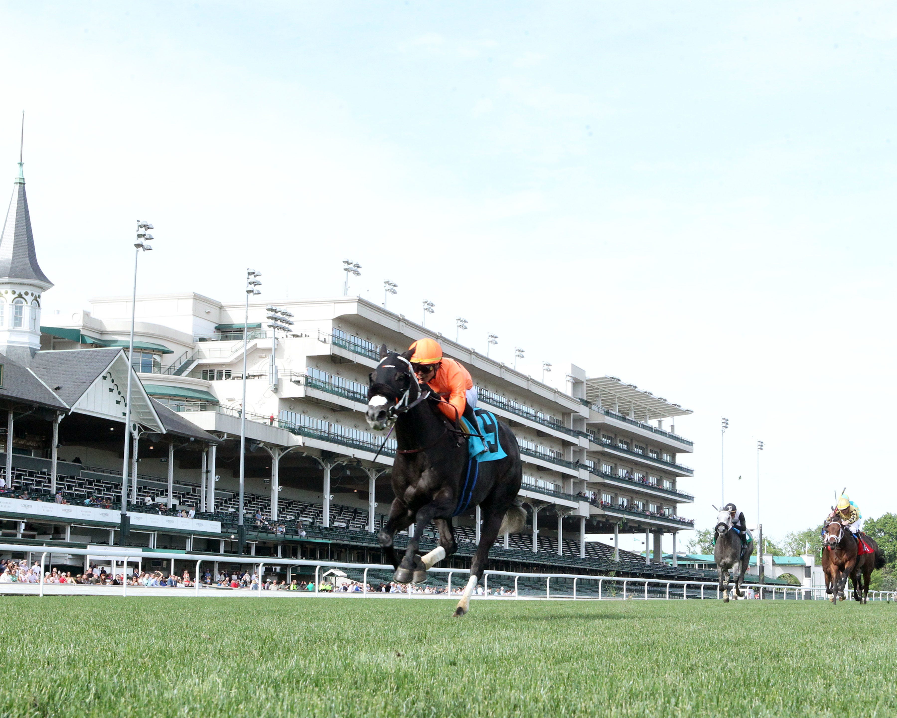 Shadow of Light shortens up in Commonwealth after faltering at a mile