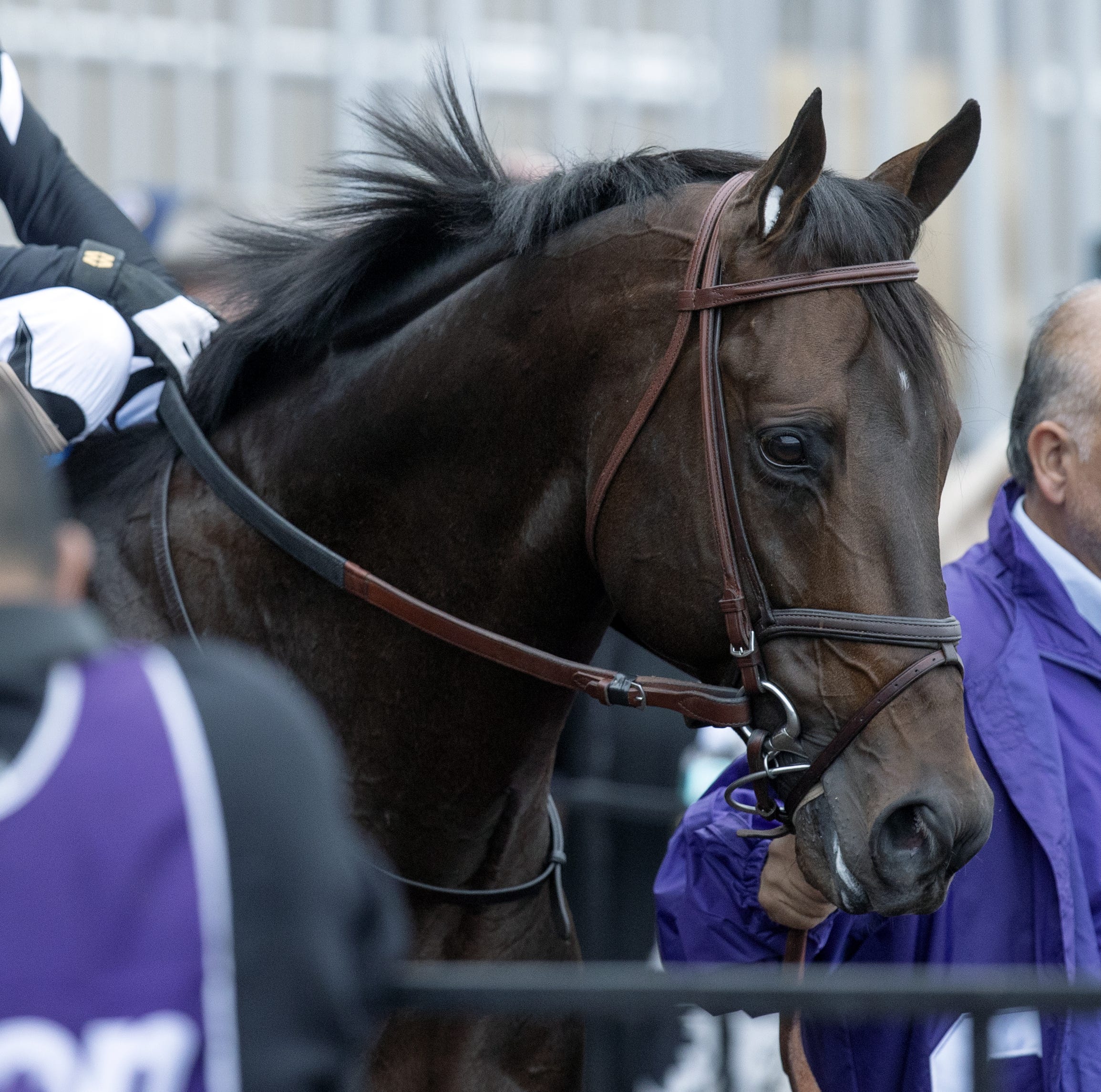 Straight No Chaser about ready to get back to work