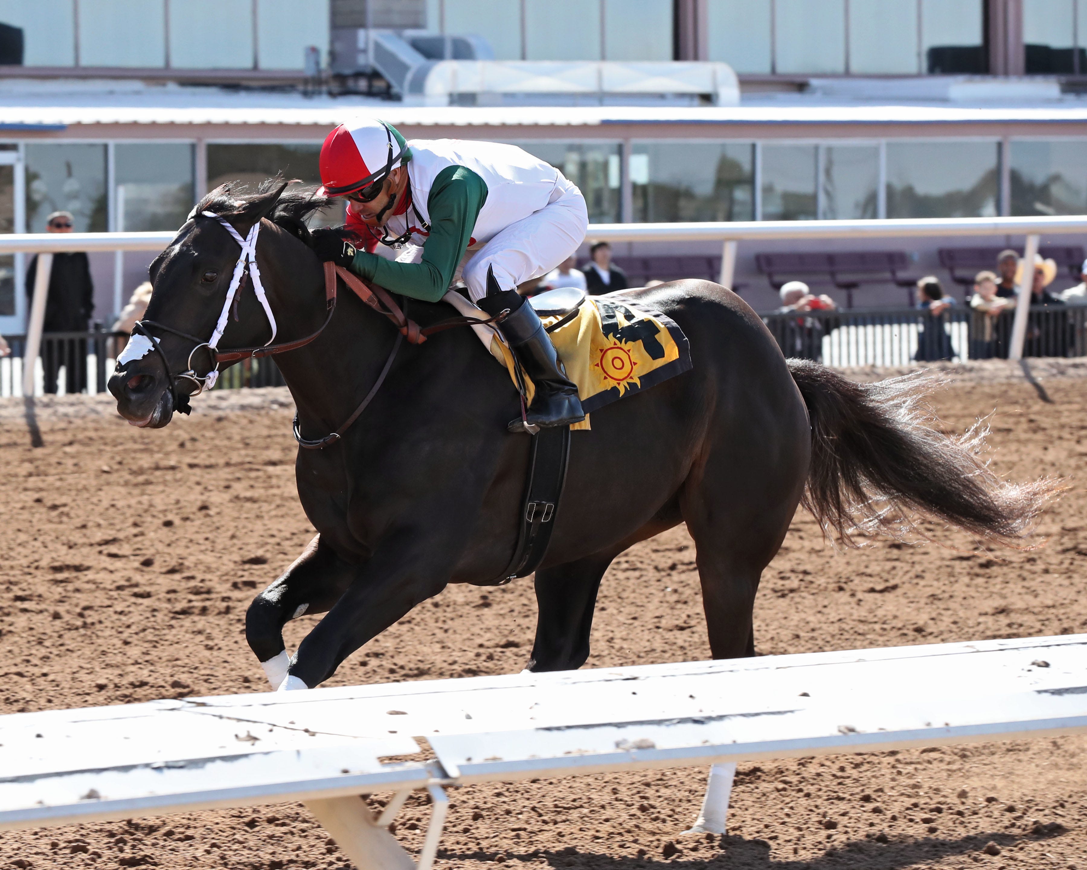 Take Charge Tom to race in Canada