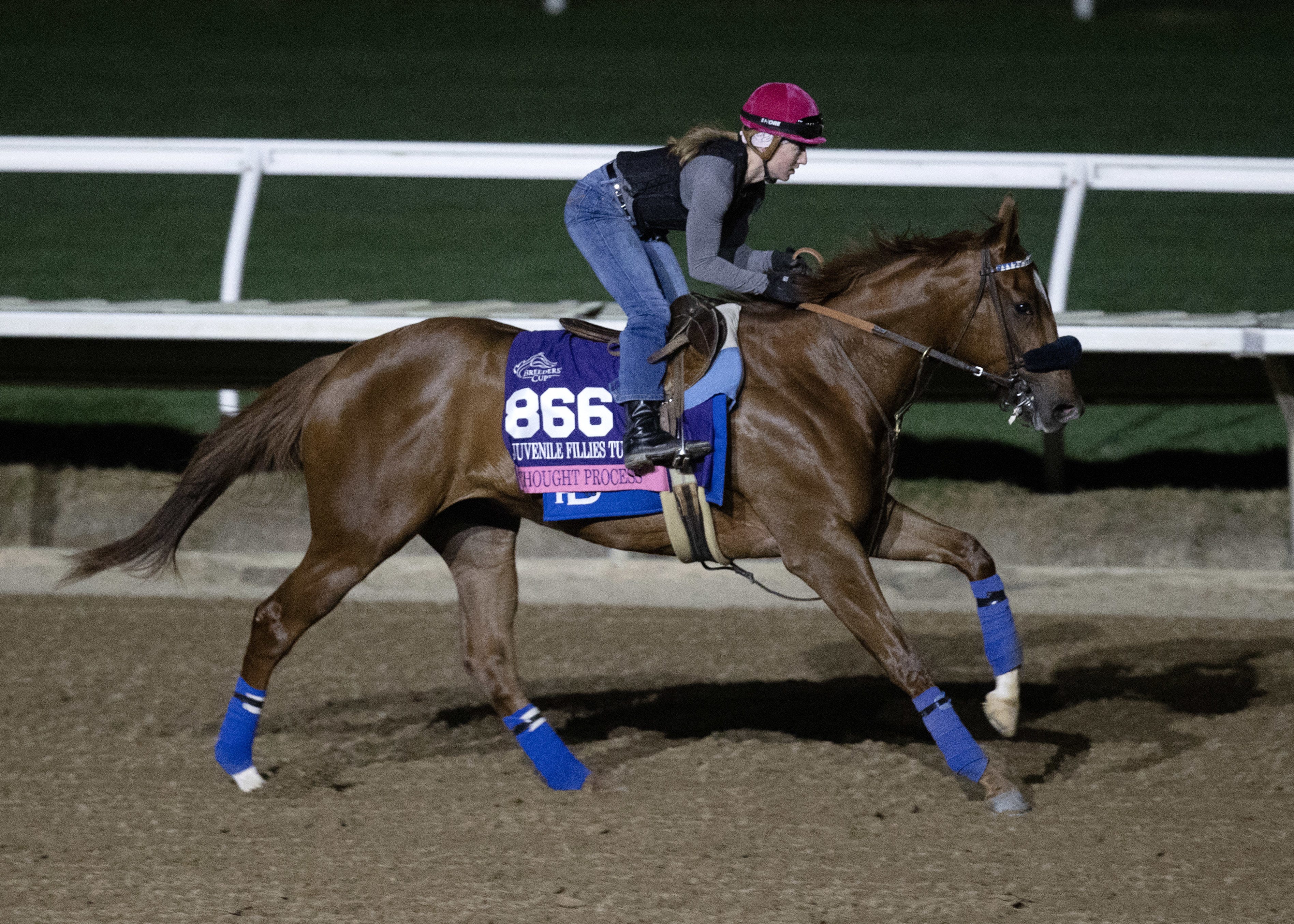 Thought Process has allowance as stepping-stone for Del Mar stakes