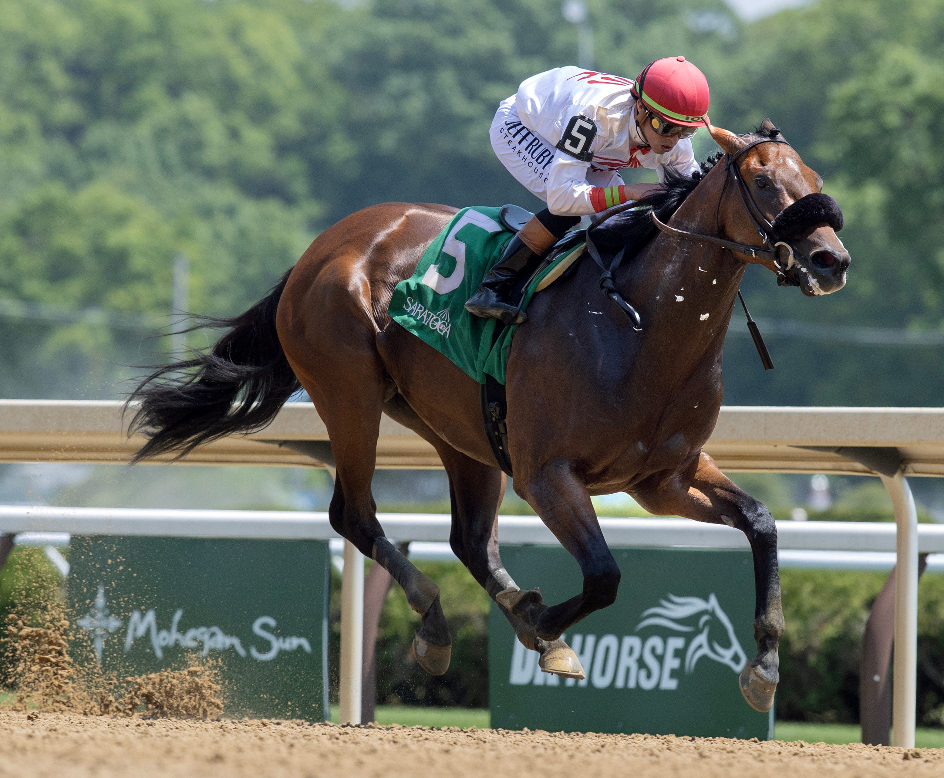 Albany top two super sharp; Kay Cup one to beat in Fleet Indian