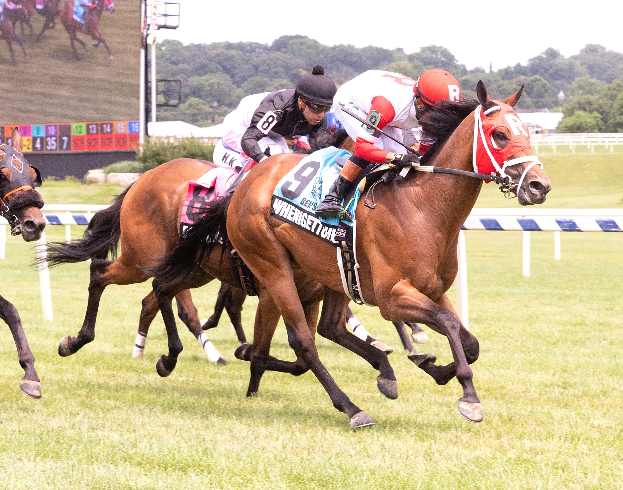 Whenigettoheaven ends six-race skid with Ben's Cat triumph