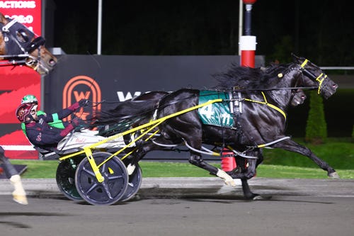 Woodbine Mohawk Park: Stars will be out for Saturday's Breeders Crown ...