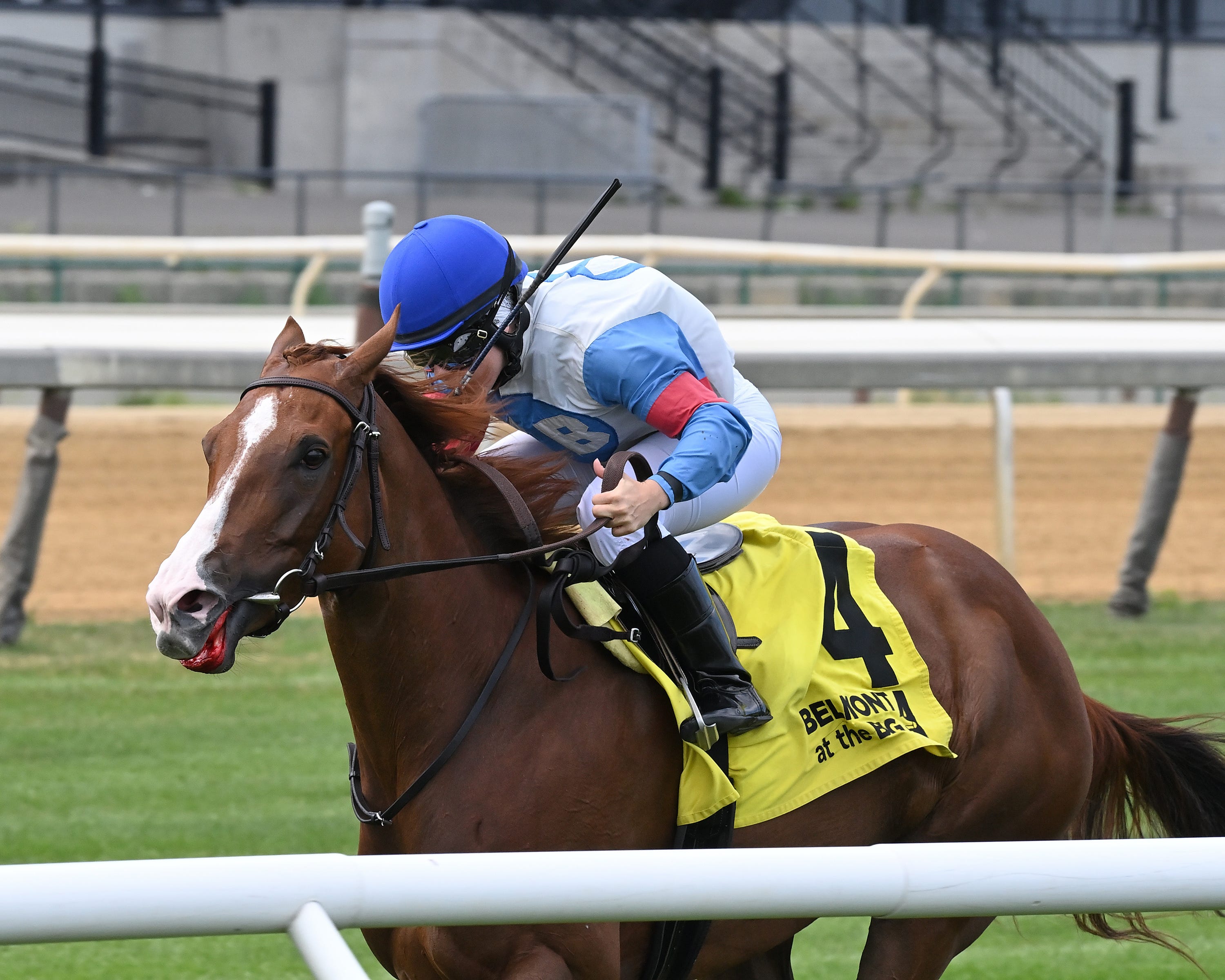 Sunday Girl finds turf to her liking in John Hettinger Stakes