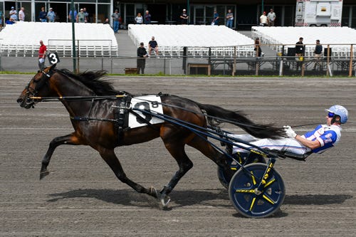 Vernon: Super Chapter leads winners in Empire Breeders Classics