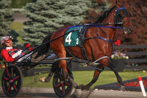 Woodbine Mohawk Park: Twin B Joe Fresh defends Roses Are Red title with ...
