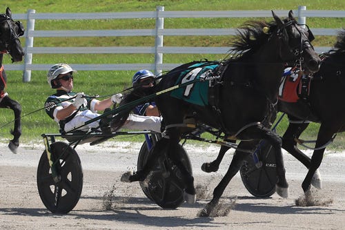 Oak Grove: 2YOs, 3YOs battle in Kentucky Sire Stakes bonanza