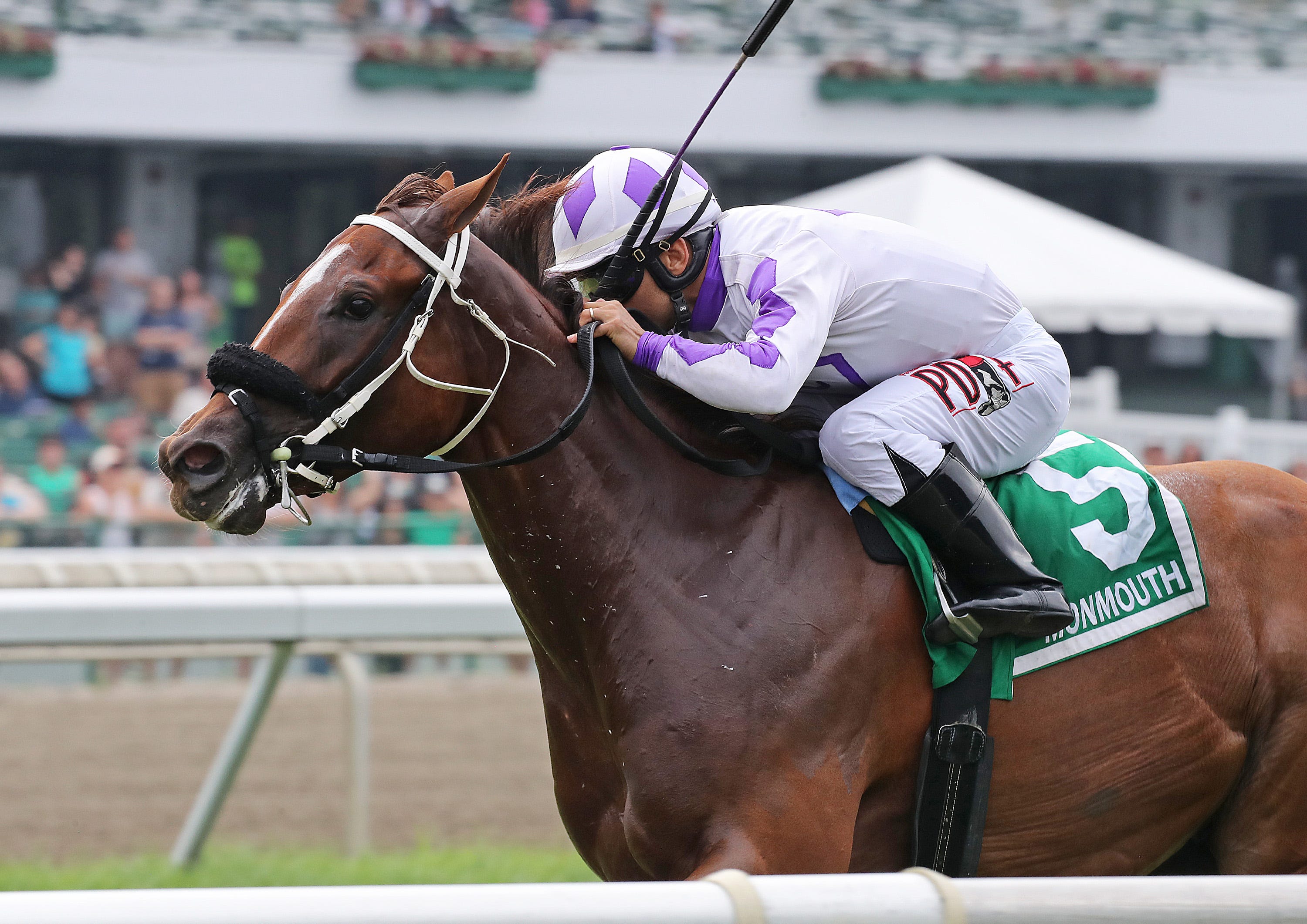 Gerrards Cross takes early lead all the way in Colleen Stakes