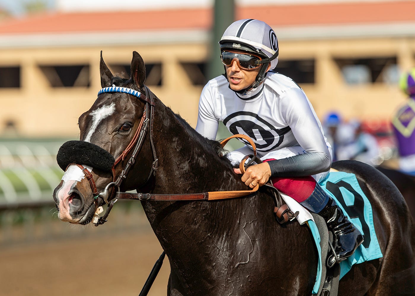 Almendares ends victory drought with Wickerr Stakes