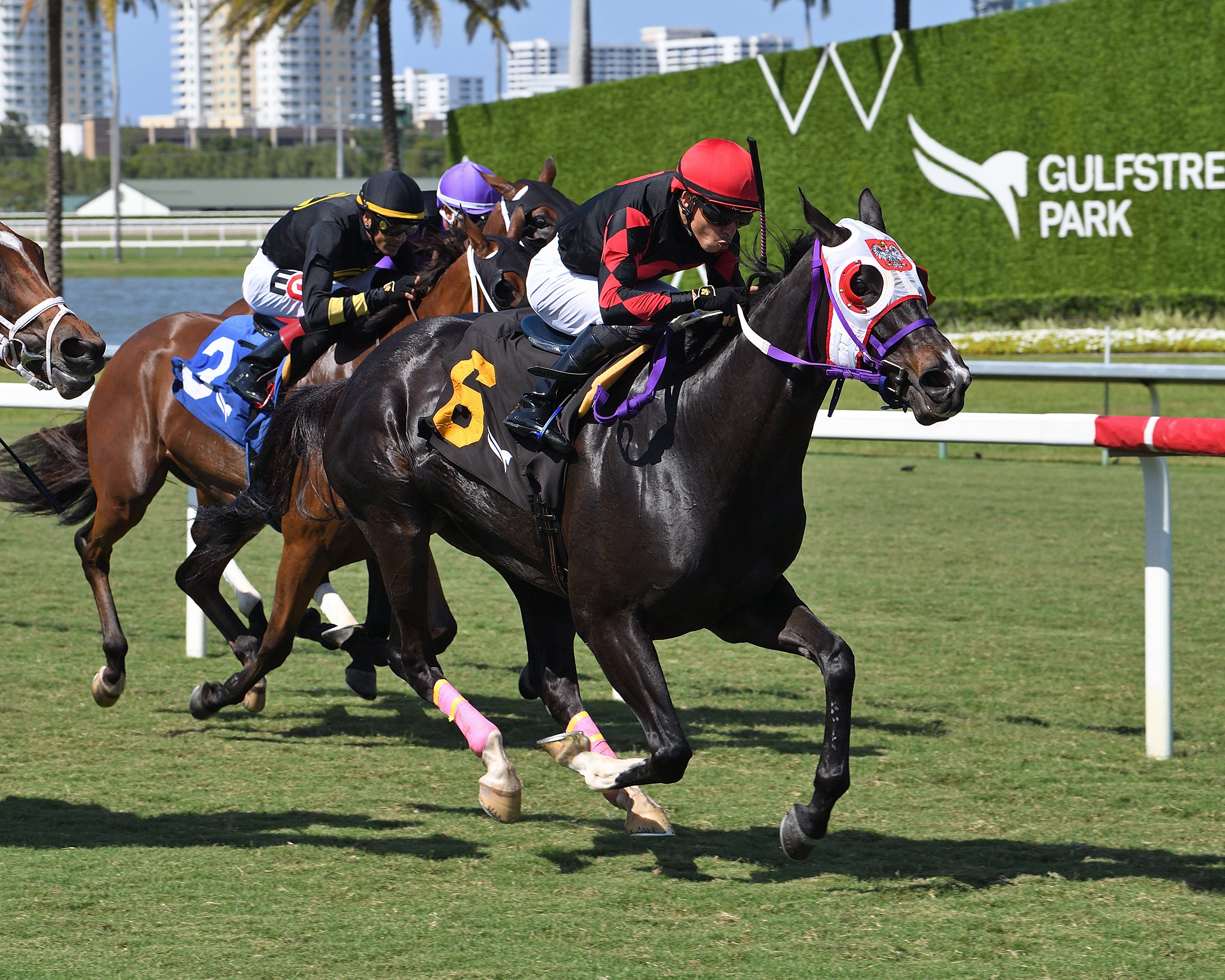 Now better behaved, Ashima looks to return to winner's circle