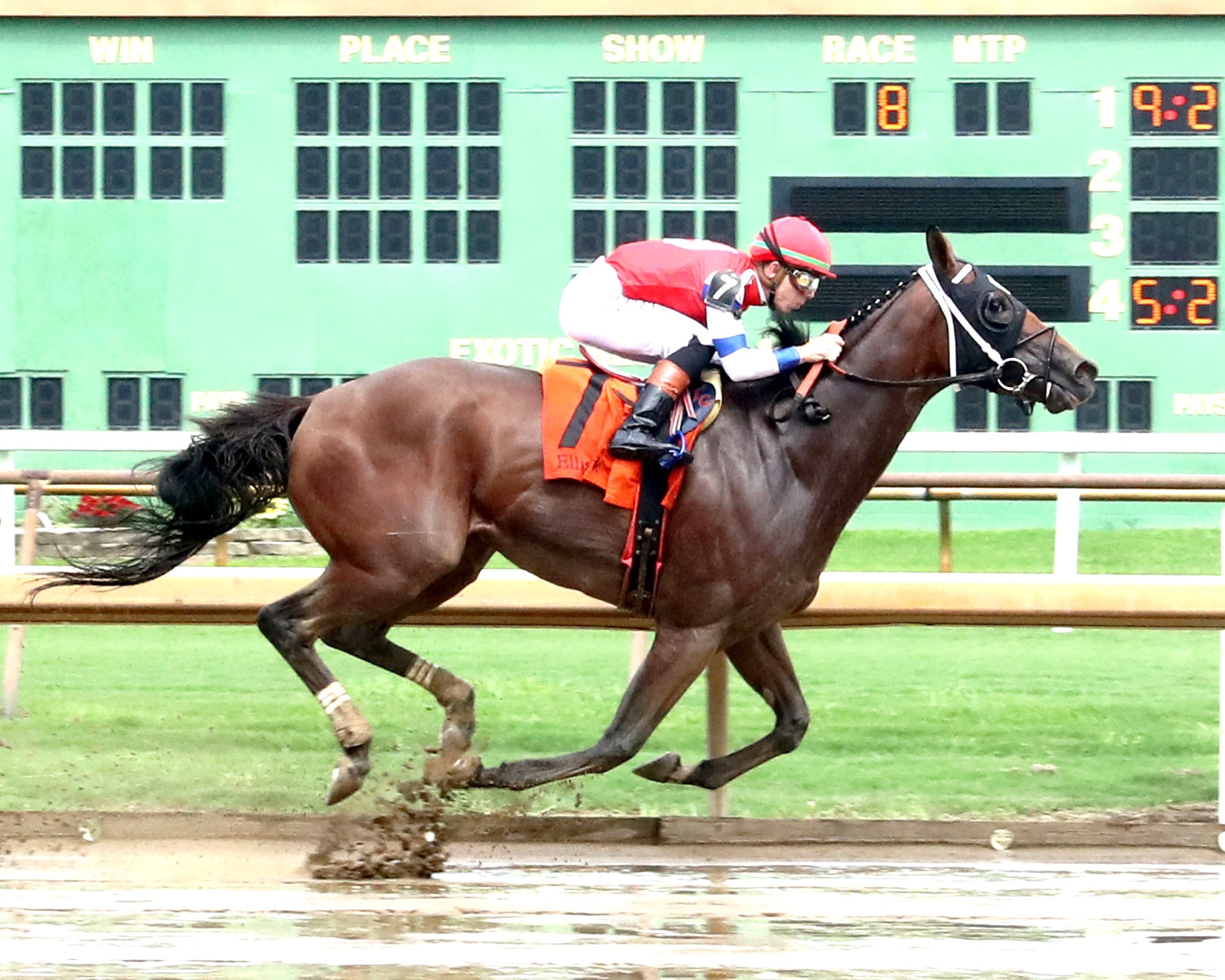 Gaffalione stays hot with Asternia in Twin Bridges Stakes.