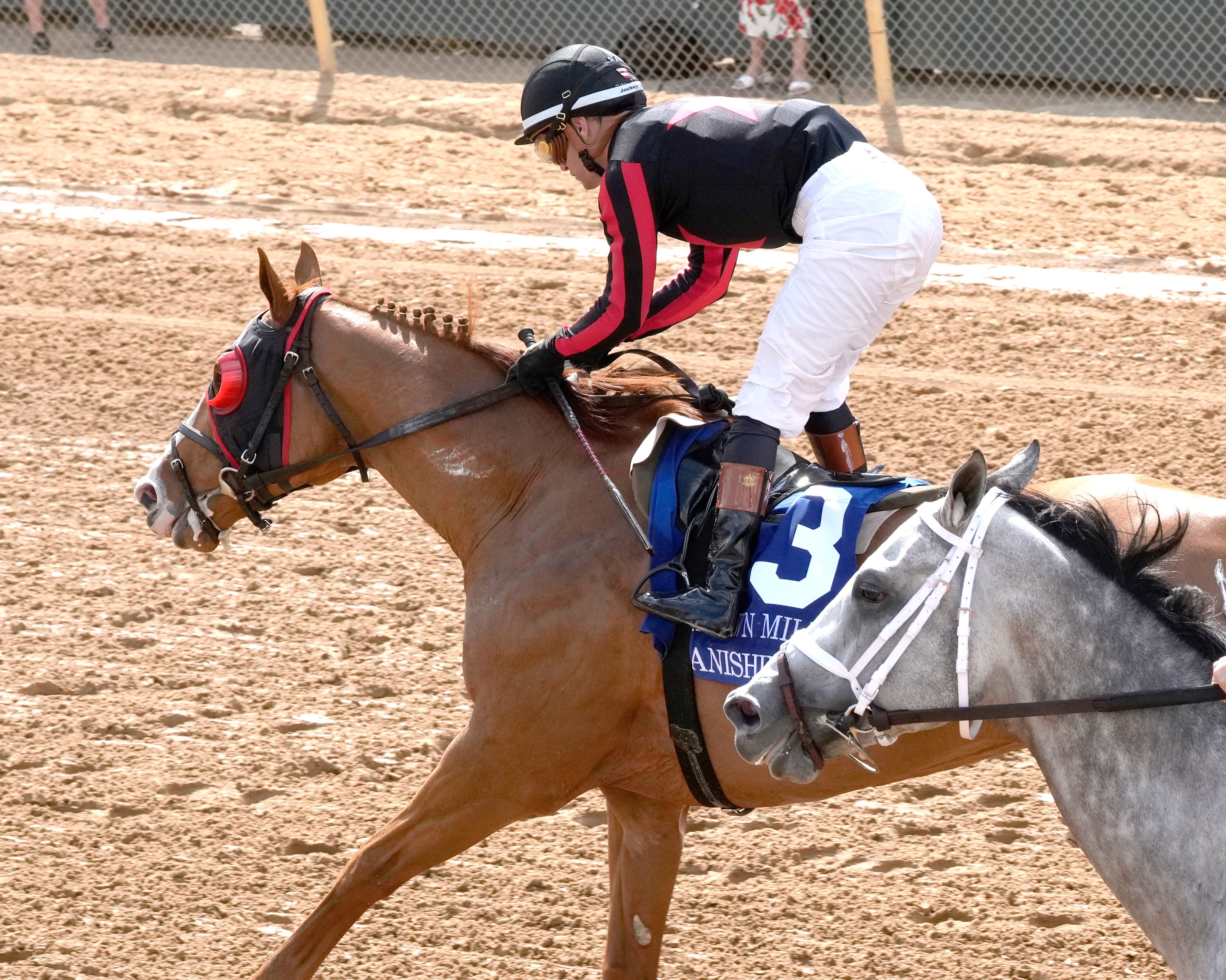 Super-claim Banishing stays busy in Jeff Hall Memorial