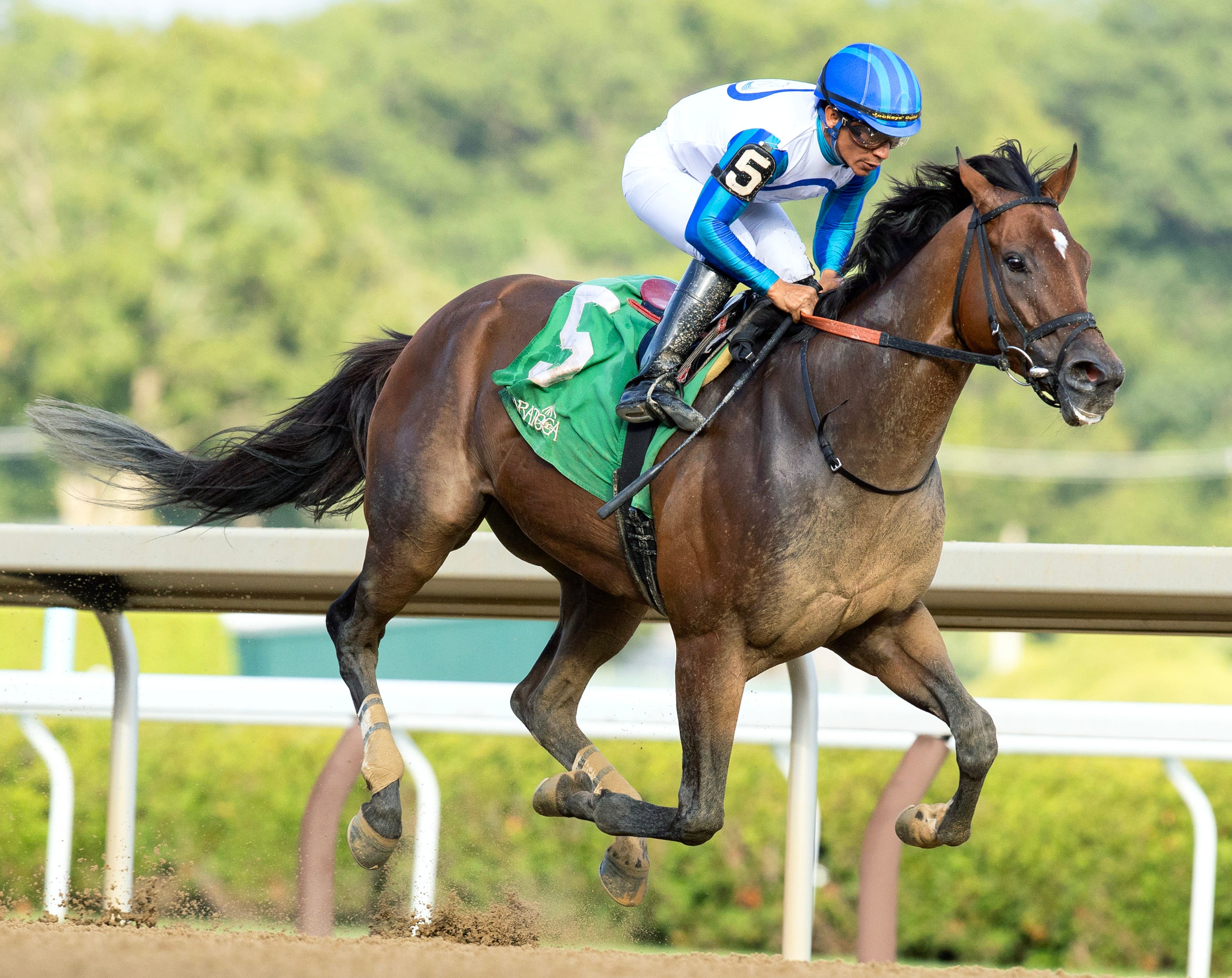 Book’em Danno continues to impress as he takes Vanderbilt Stakes