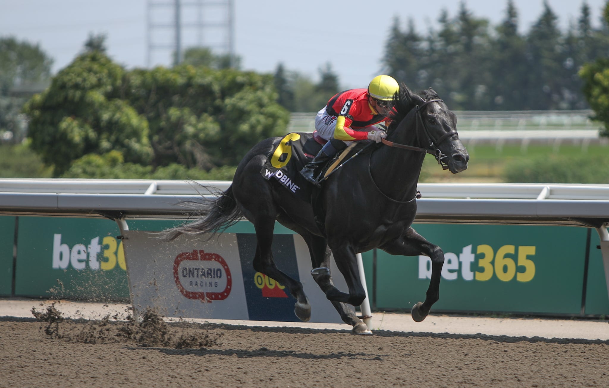 Hernandez scores stakes double with Victoria, My Dear triumphs