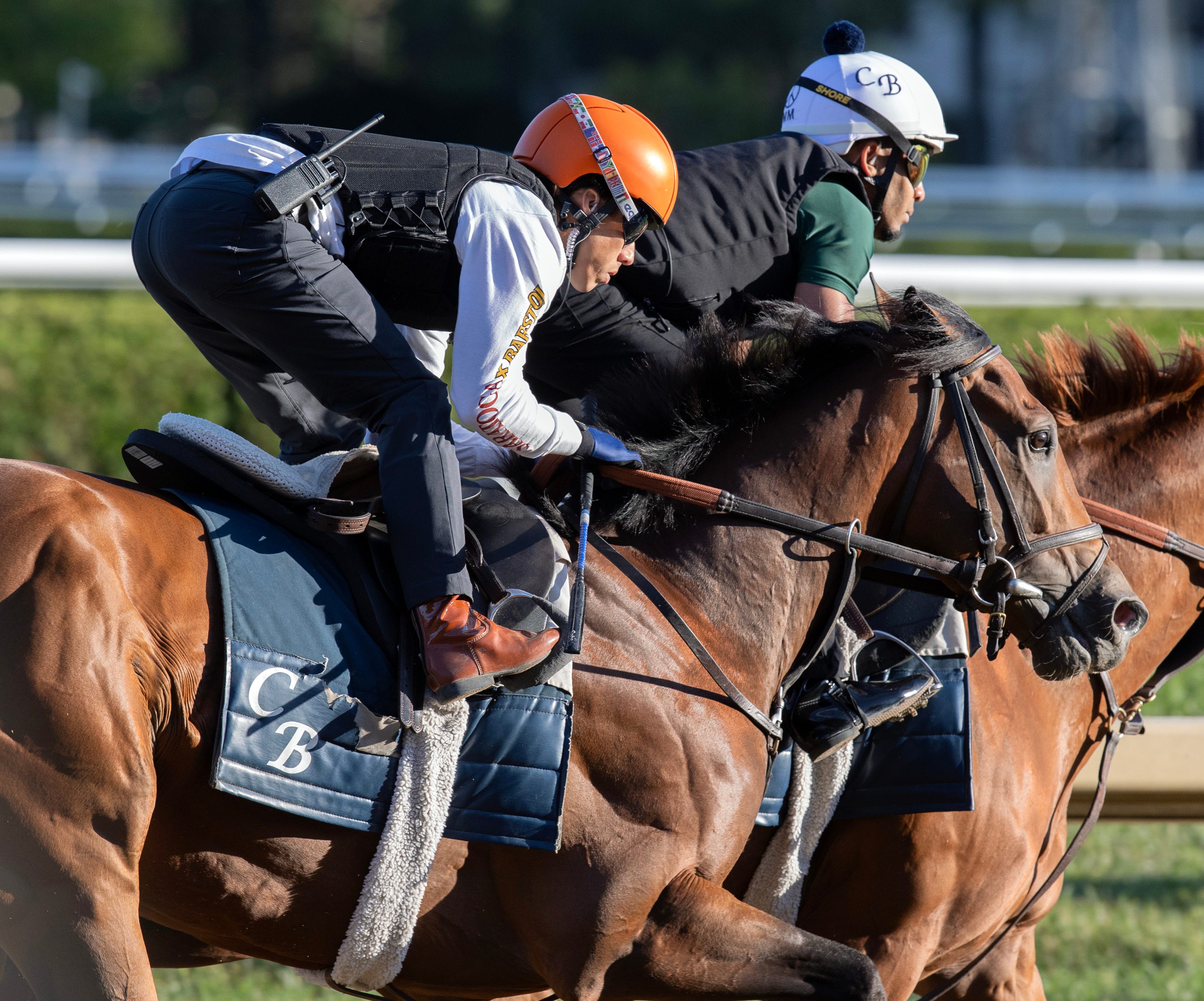 Chancer McPatrick entered in Curlin Stakes