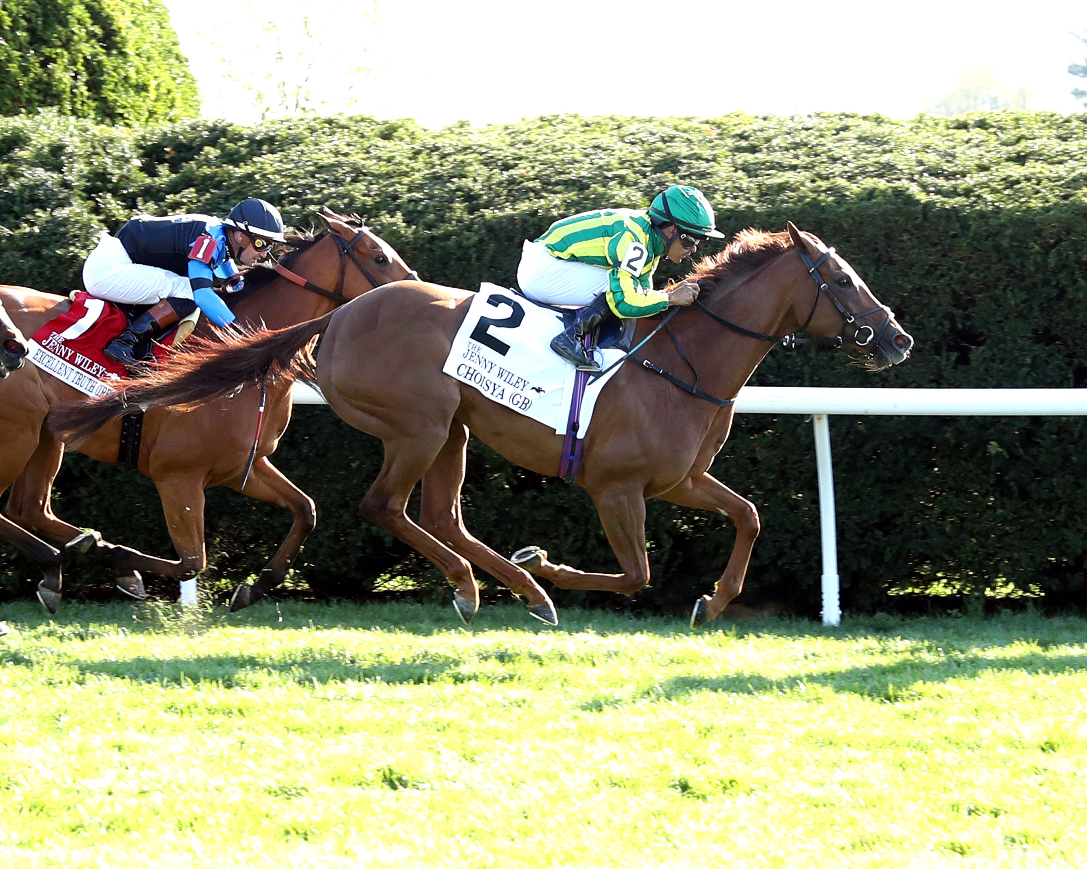 Weekend GamePlan: Picks for Diana, My Dear, Miss Disco