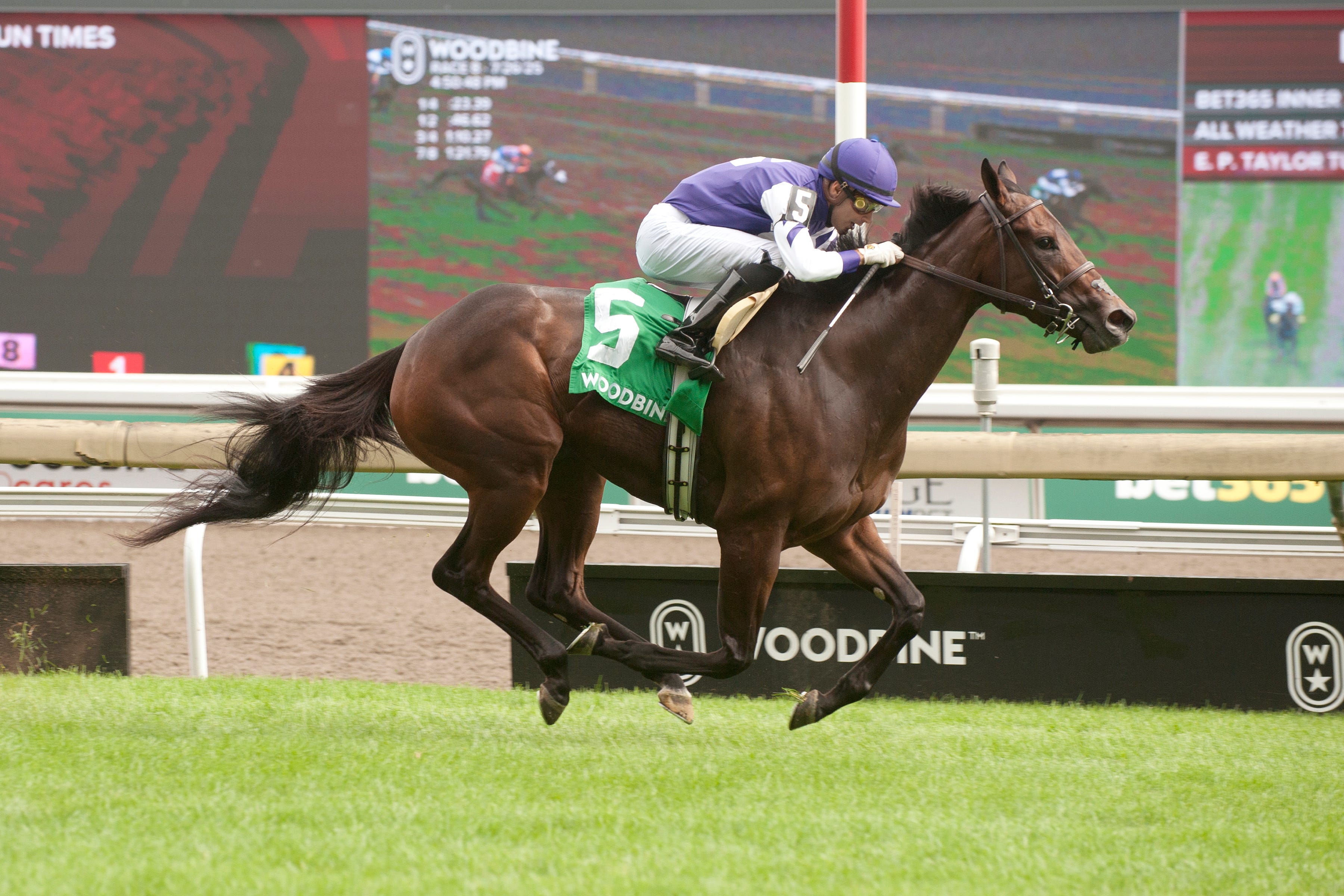Civaci notches stakes sweep as Candy Quest rallies from far back in ...