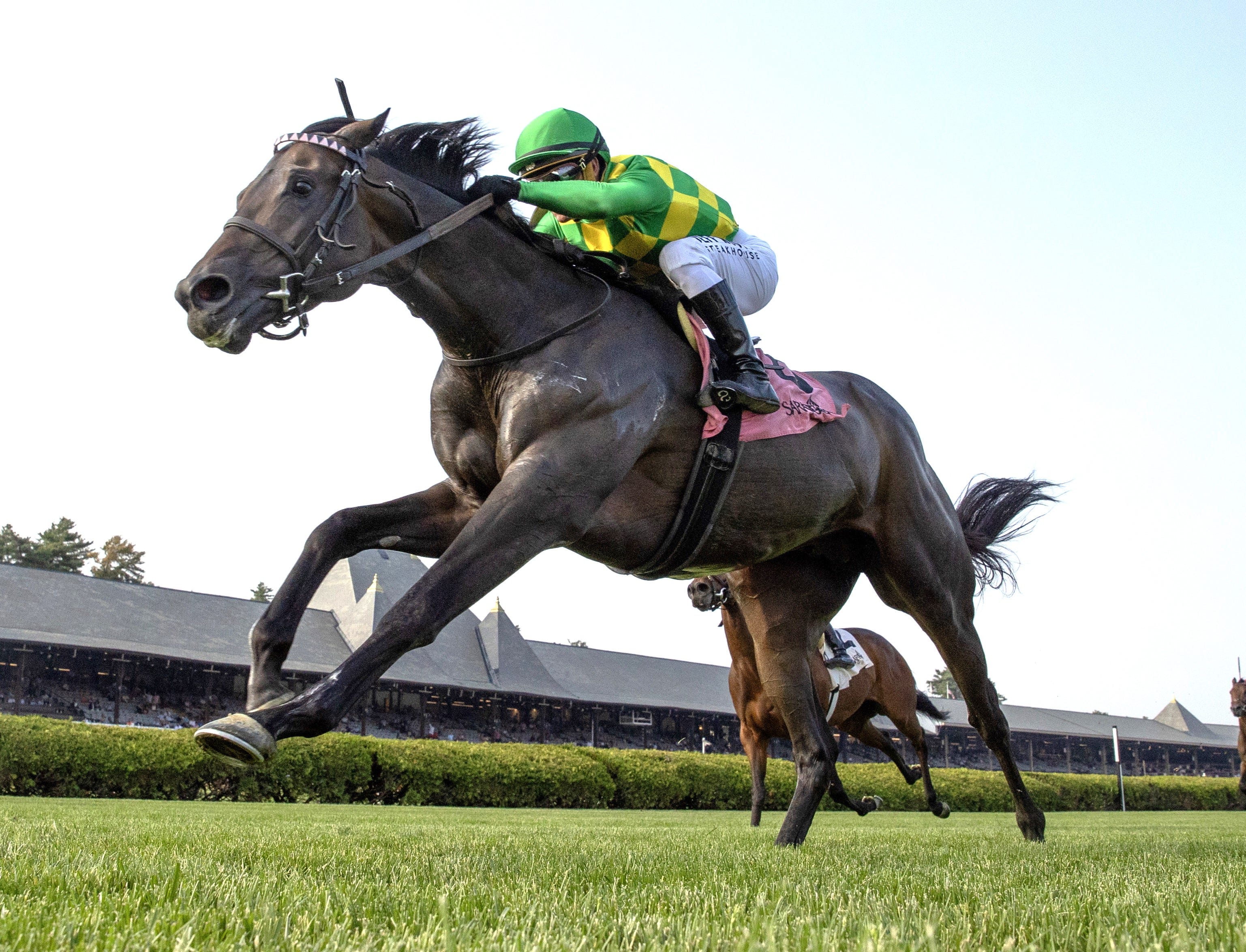 Kelso: Win for the Money freshened, sharp, dropping in class