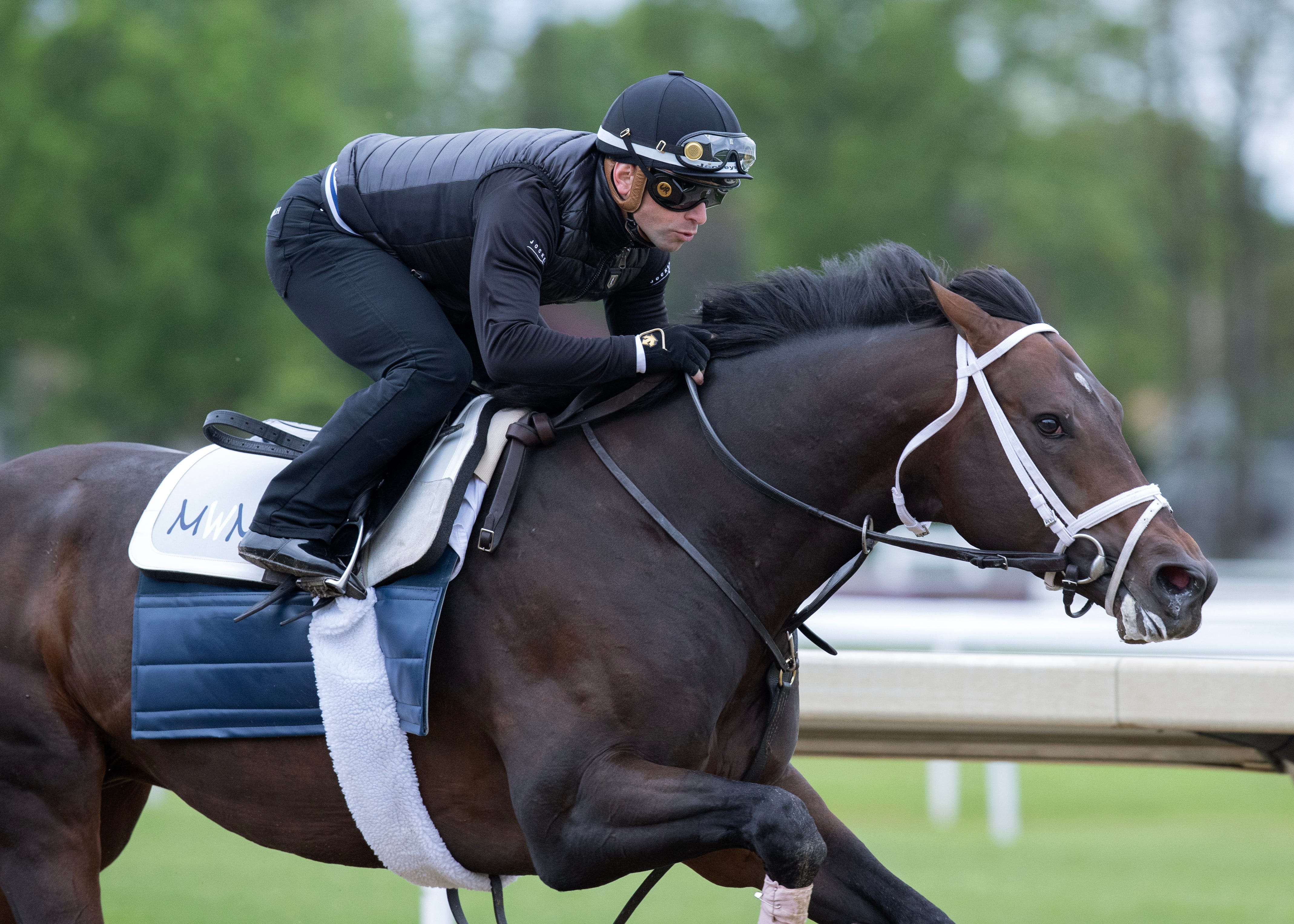 Endlessly drops down to prove himself on turf in Wickerr