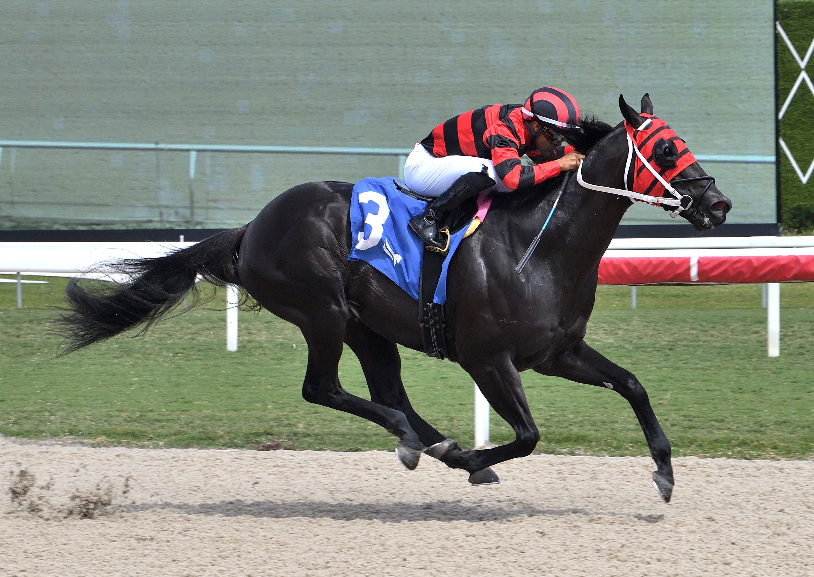 Extendo happy to be home facing easier company