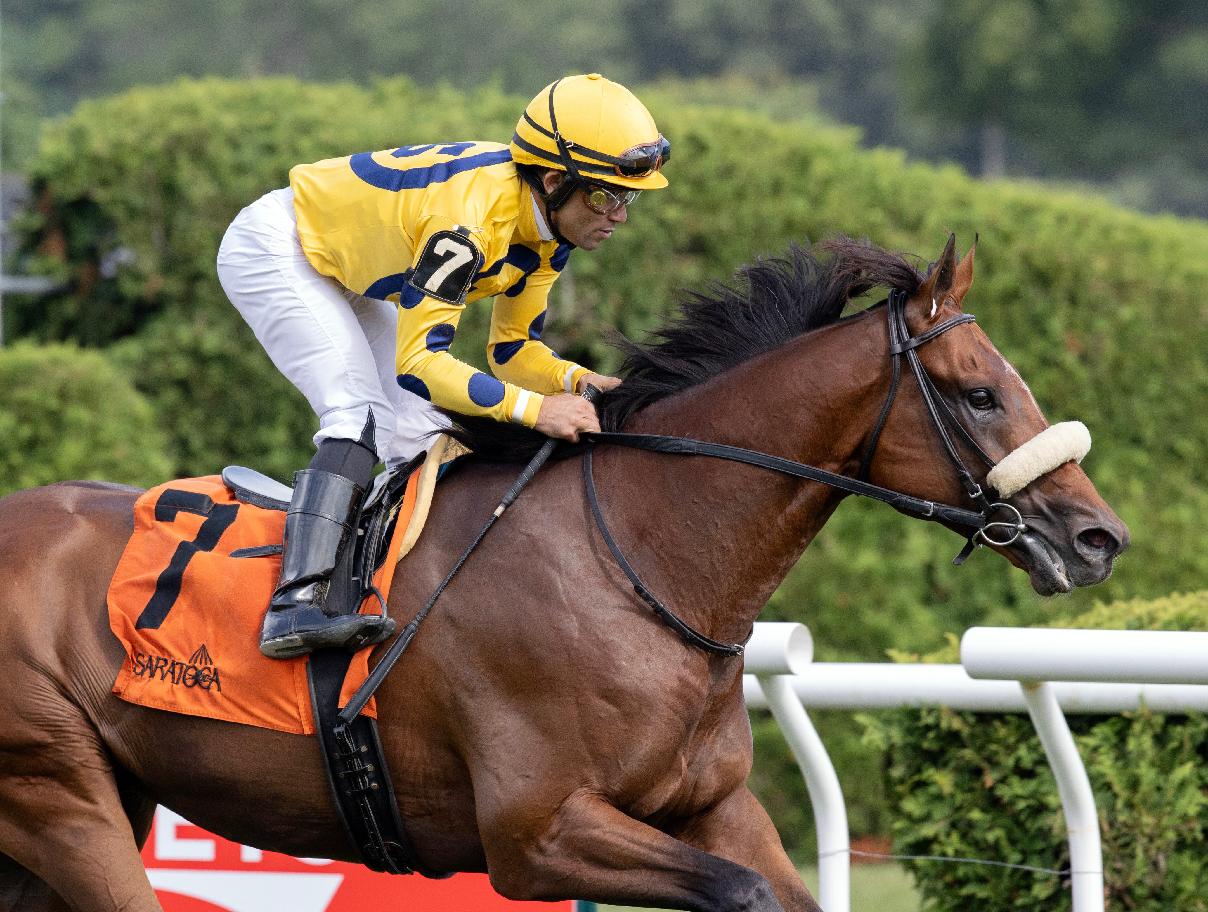 Far Bridge targets Sword Dancer as next start