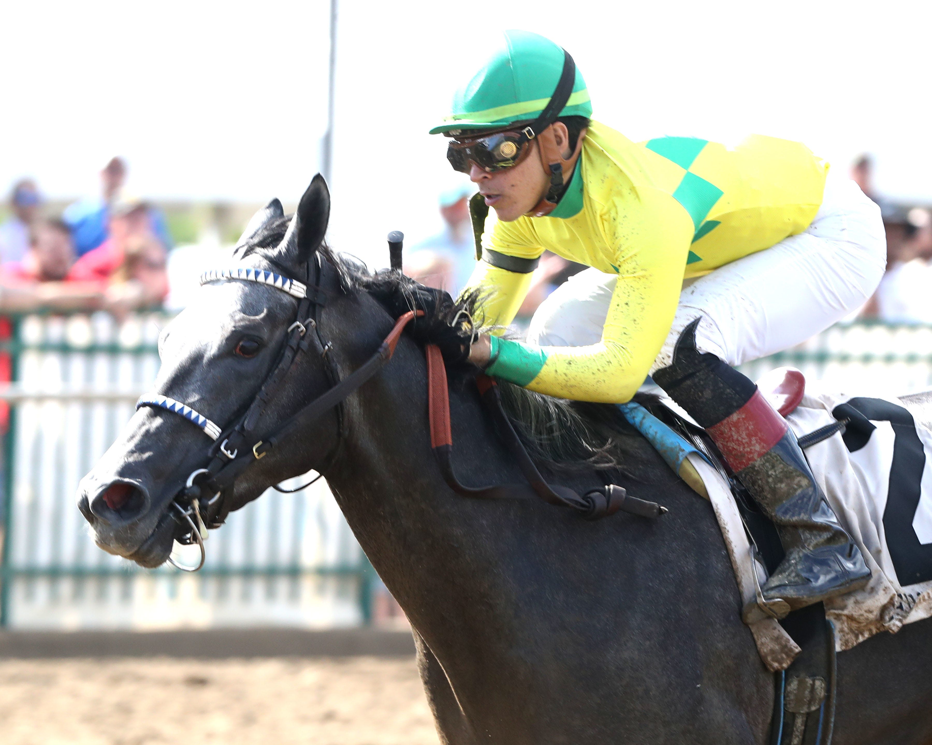 Fibber looks to end skid in Twin Bridges