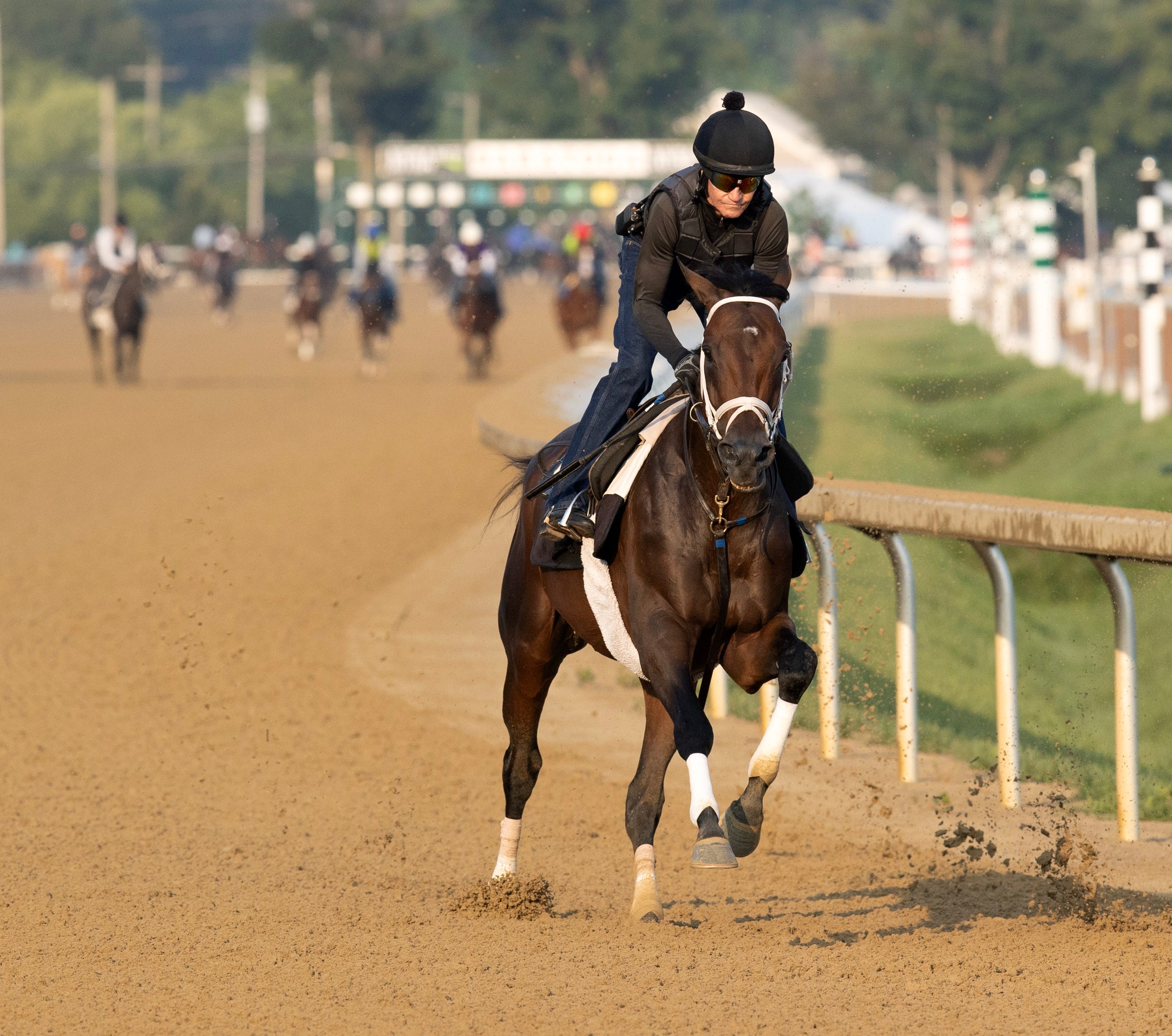 Pletcher to keep his top two separate as Fierceness will go solo in Whitney