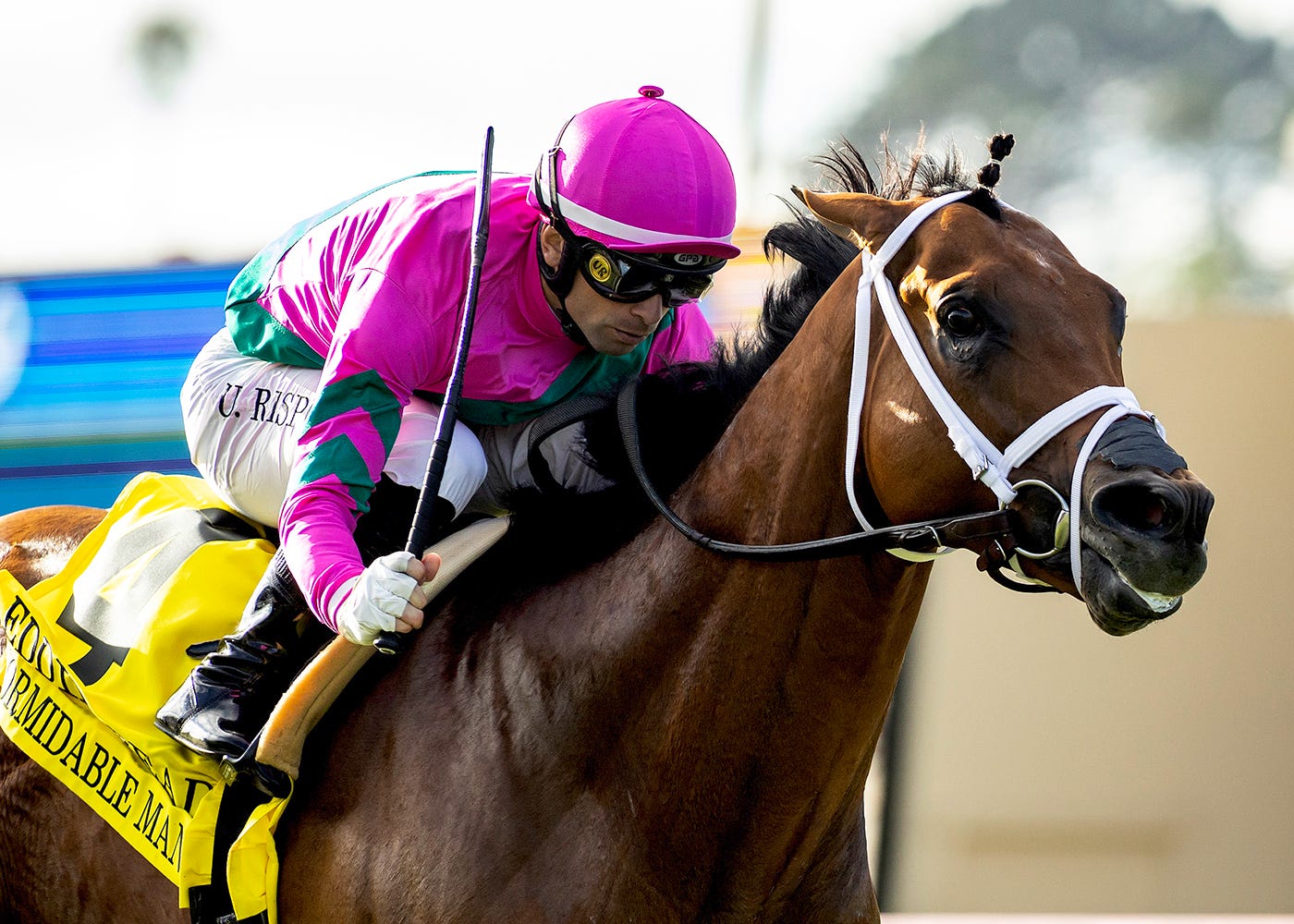 Formidable Man's success at Del Mar continues with Eddie Read Stakes