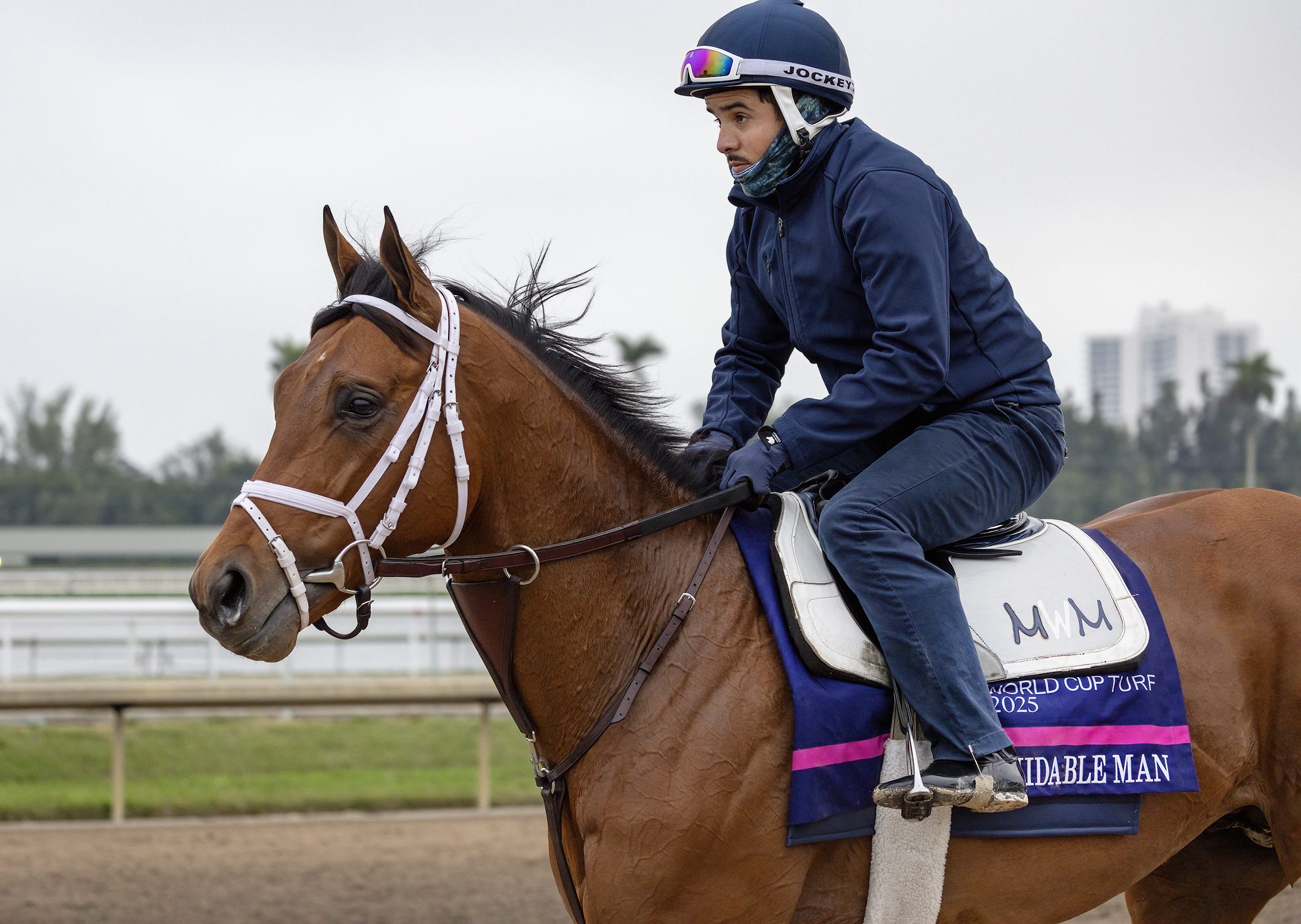 Formidable Man hard to beat over favorite course at Eddie Read distance