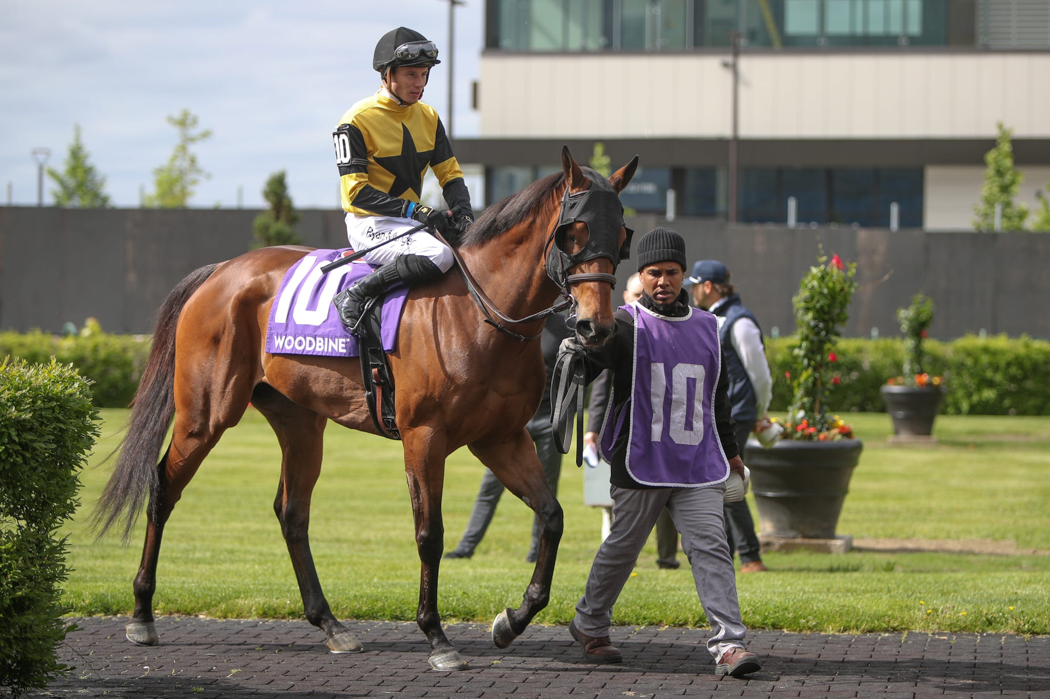 Gal in a Rush looks to repeat in Hendrie