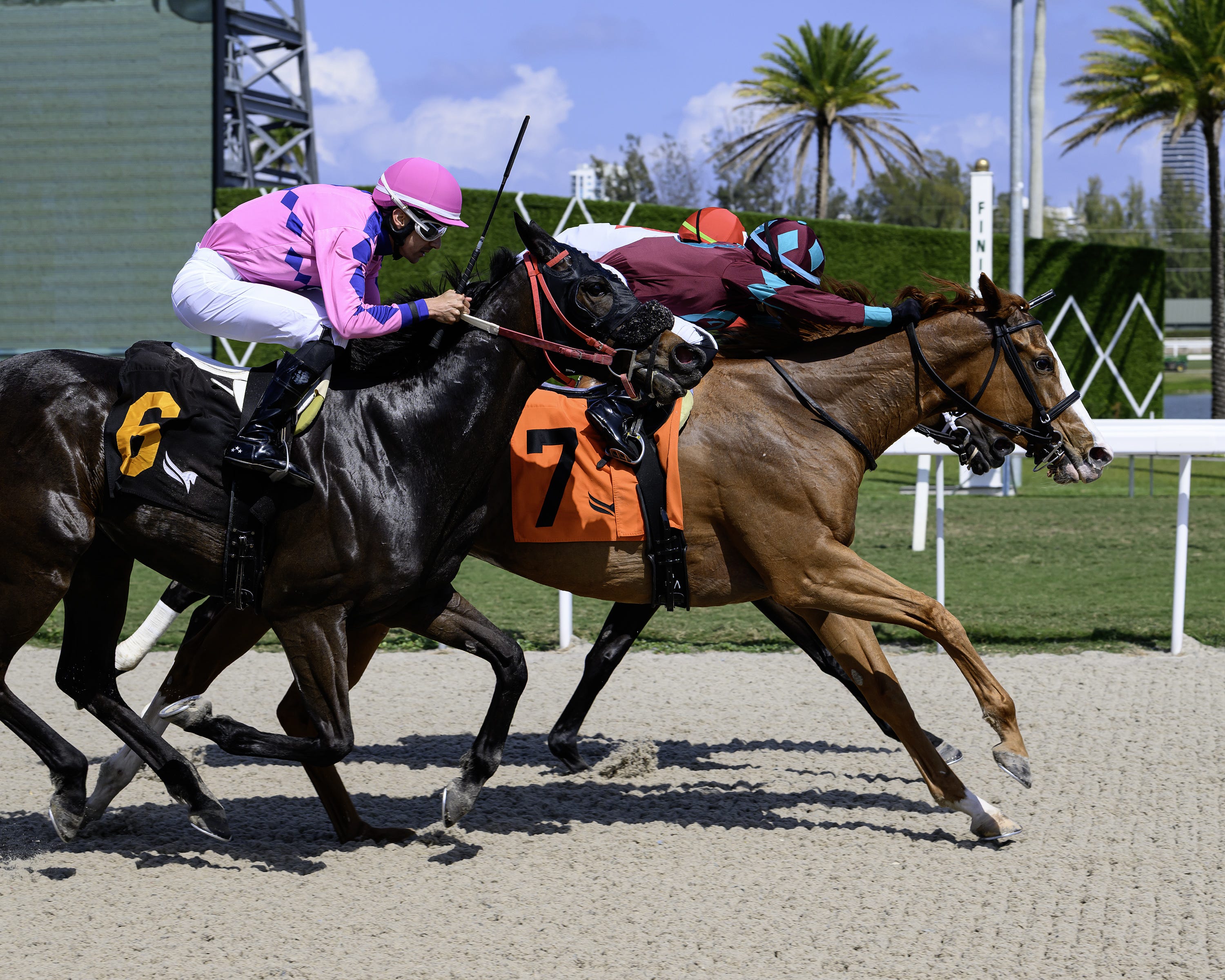 Galley Head eyes three in a row, switches to turf