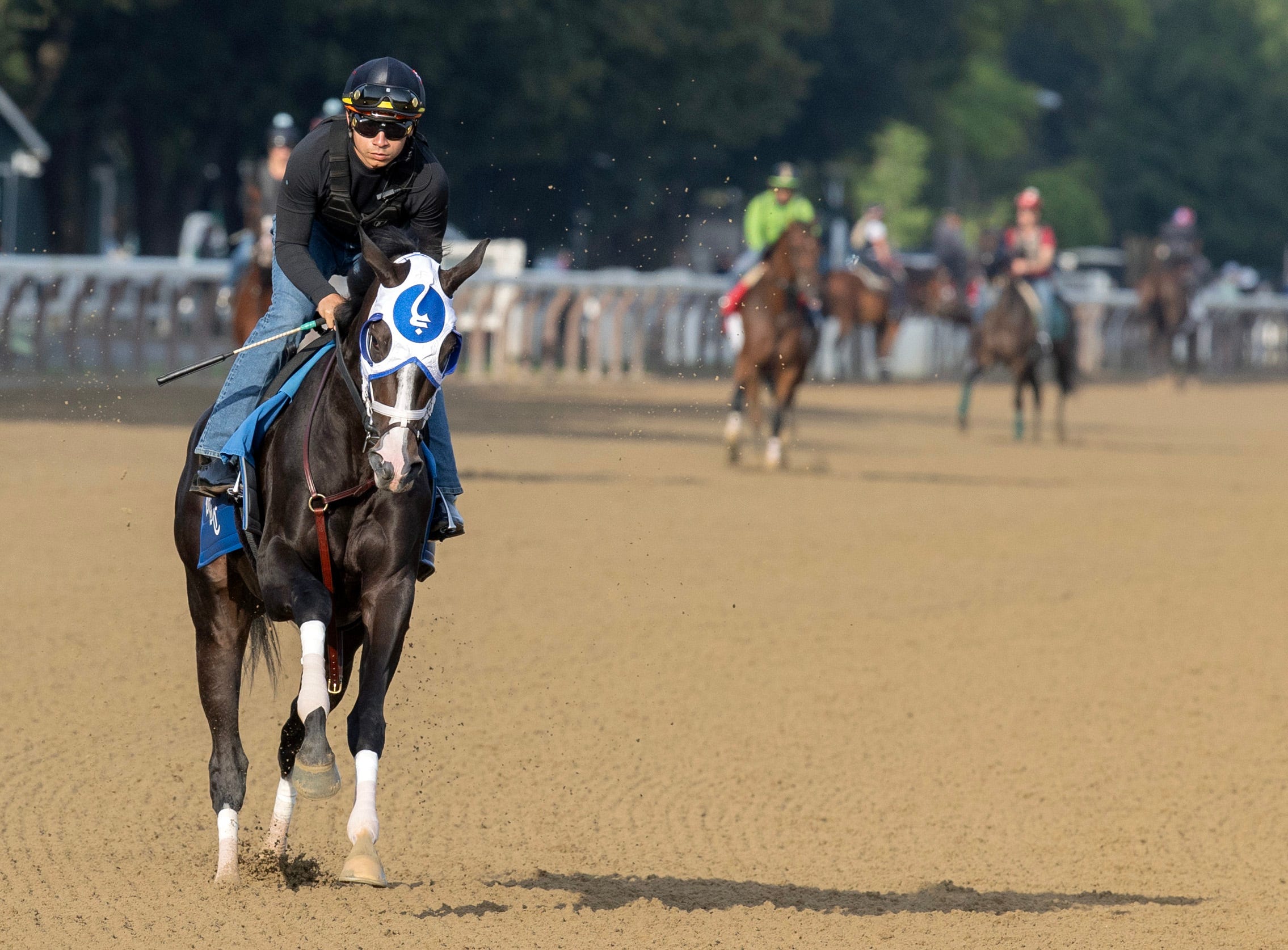 Cox works Good Cheer for Alabama, Immersive for CCA Oaks