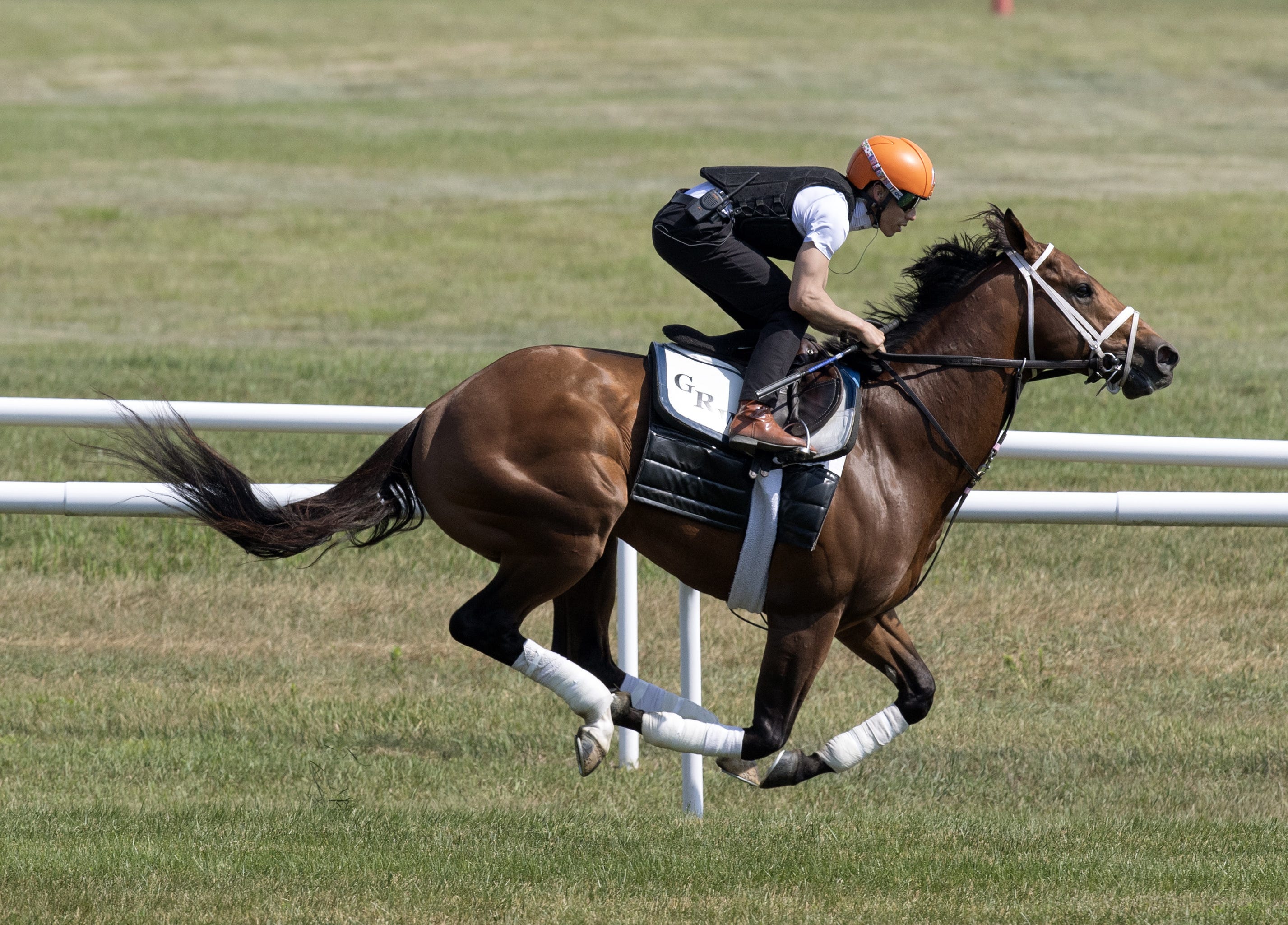 Governor Sam seeks first 3-year-old win in Quick Call