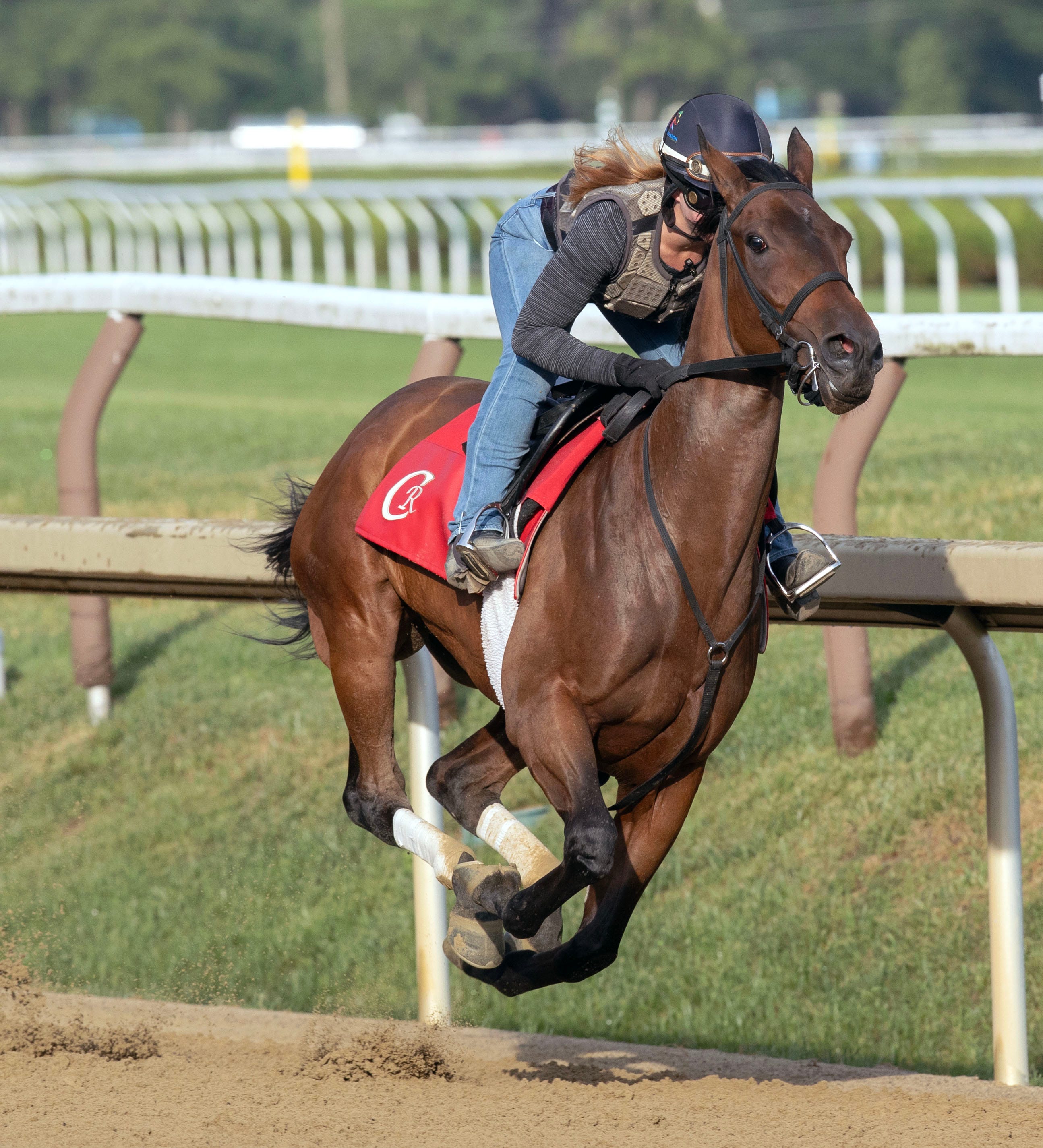 Quarantine lifted on Saratoga barn