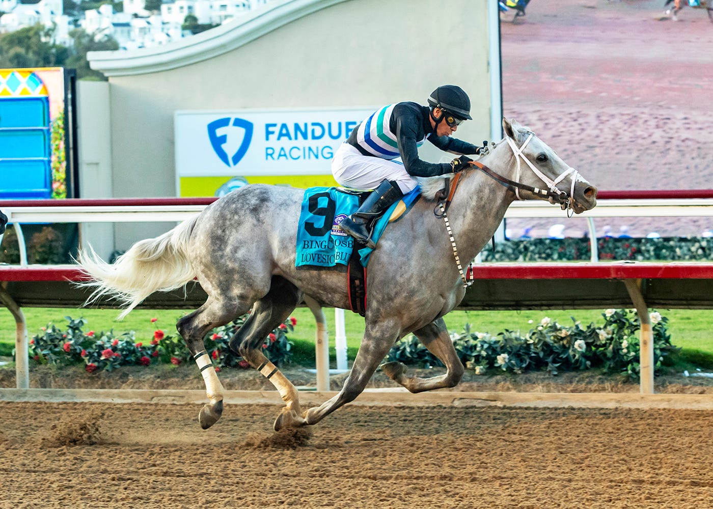 Breeders' Cup Sprint: Lovesick Blues to have unconventional final prep