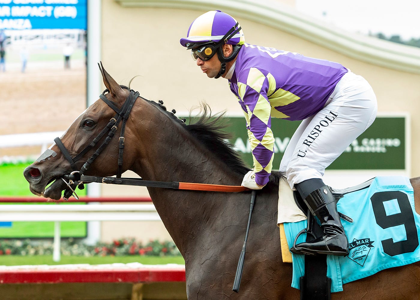 Medoro regains stakes-winning form in Osunitas
