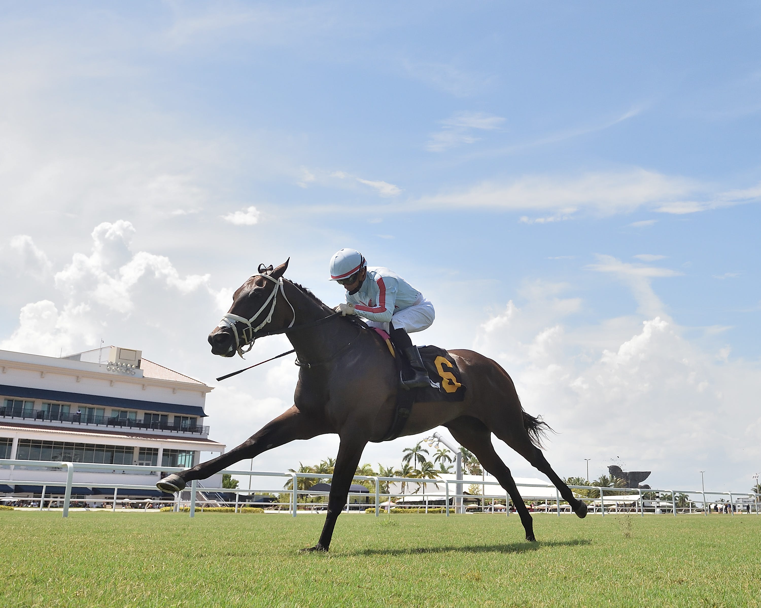 Miss Mary Nell finally gets some softer company