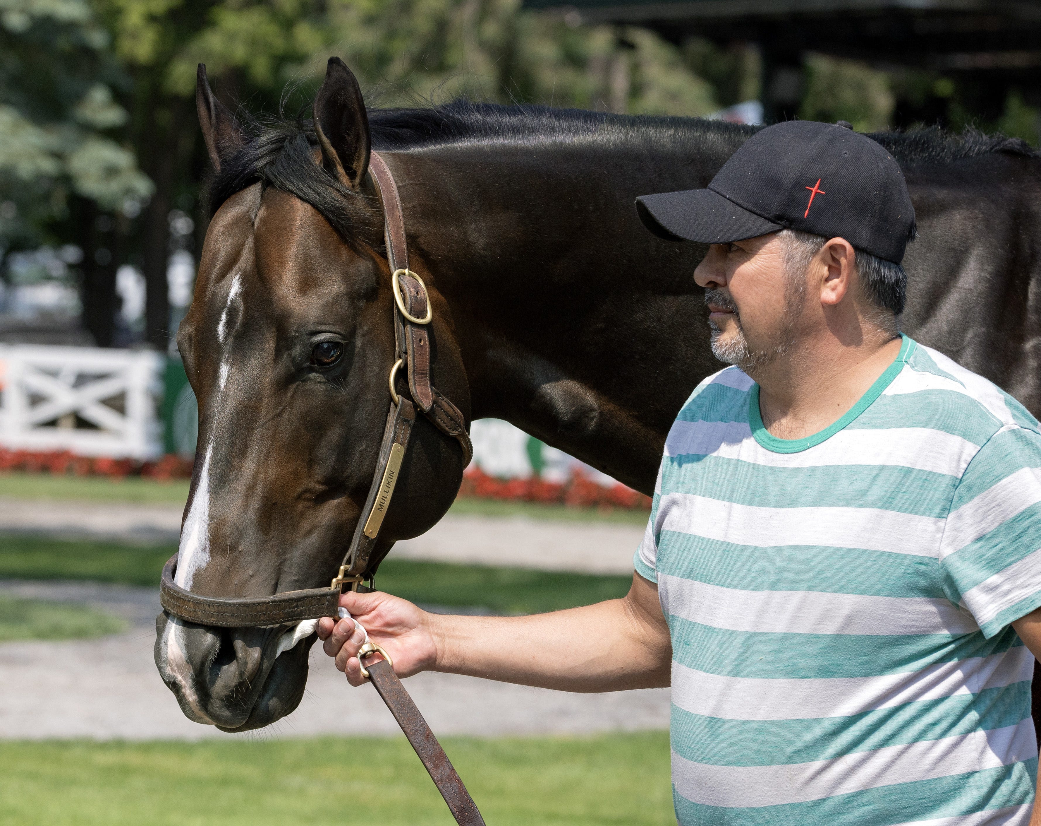 Mullikin not ducking Book'em Danno in Vanderbilt