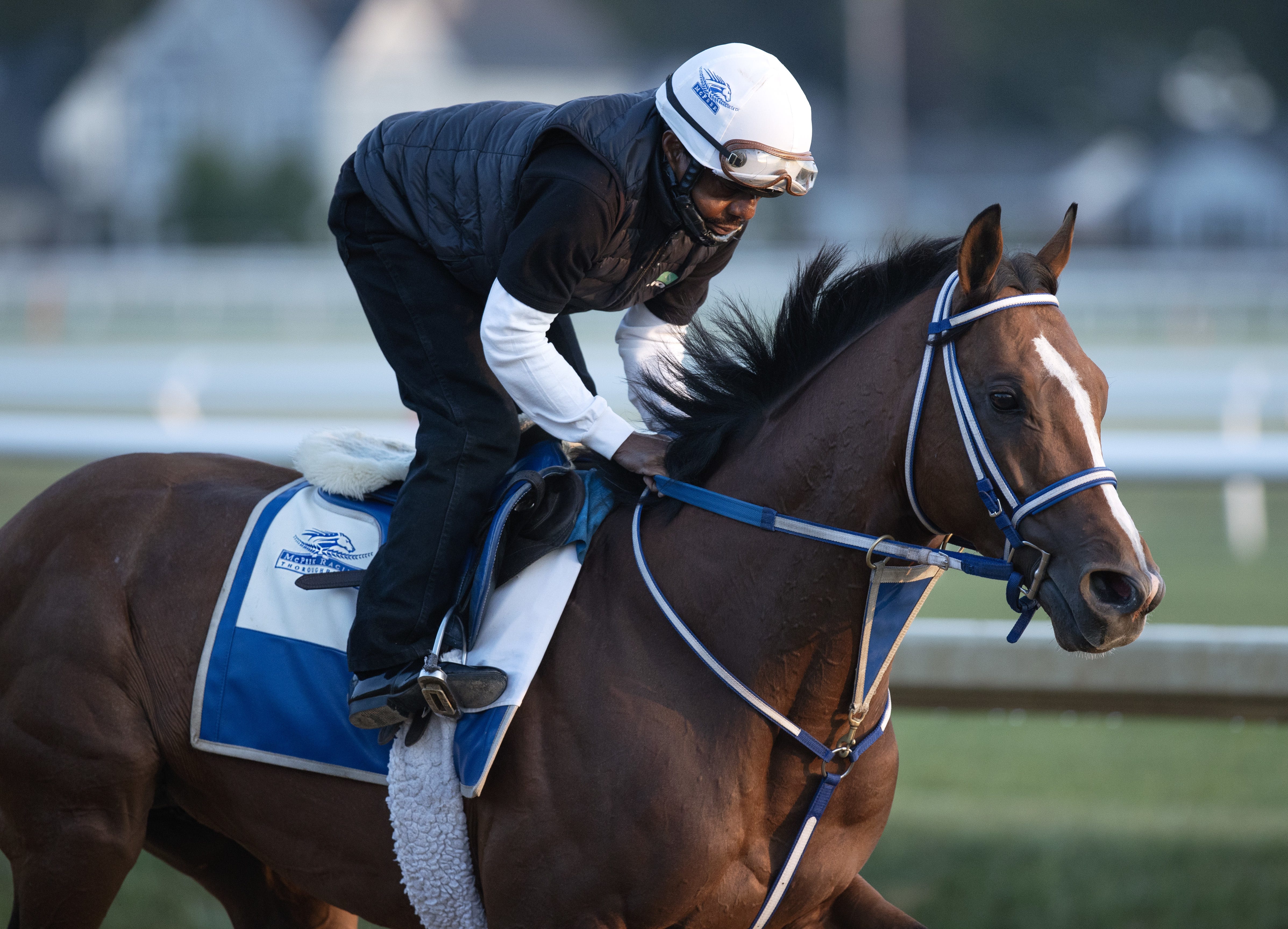 Mystik Dan has sharp work; may make next start on turf
