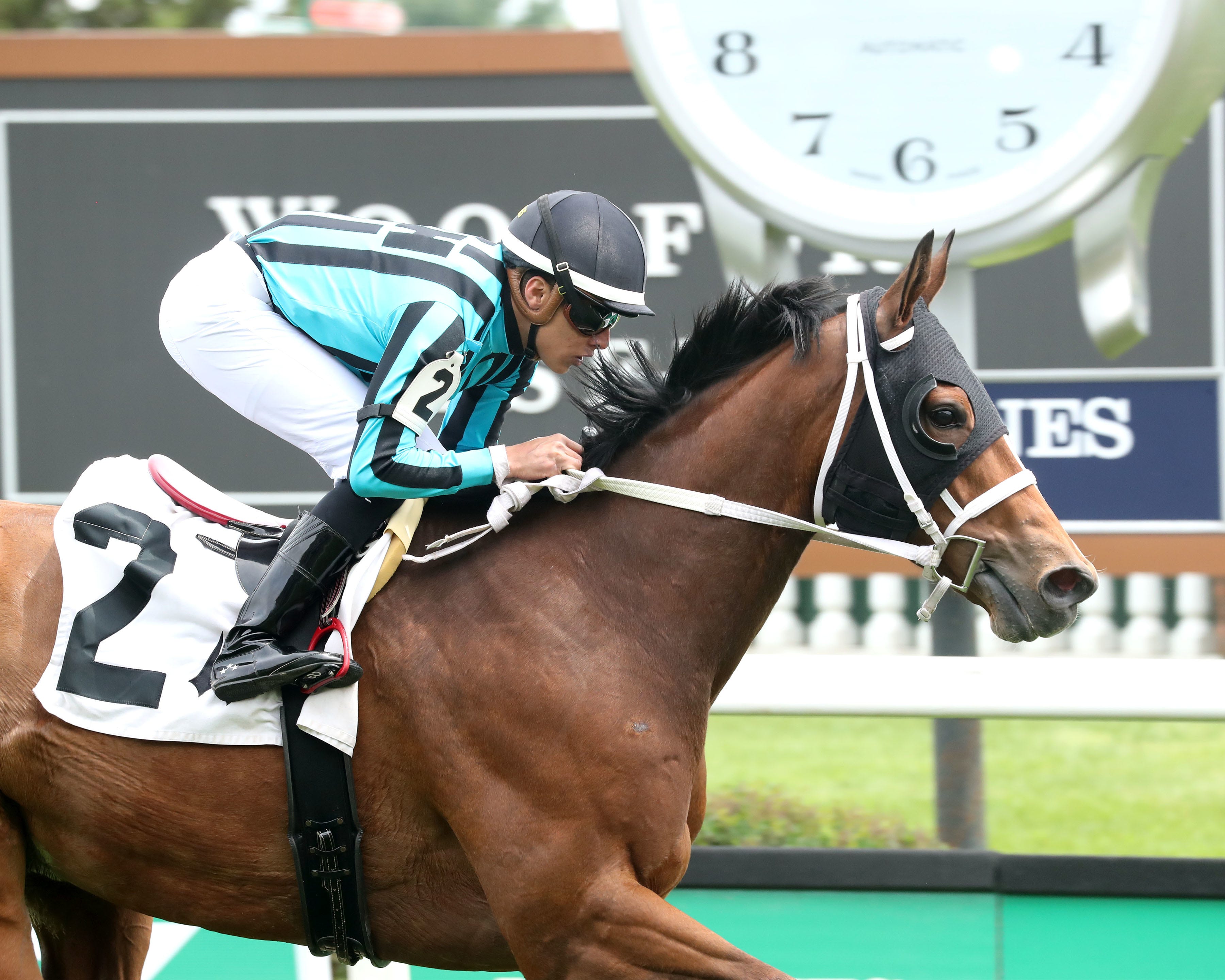 Rivelli hopes Karl Boyes serves as Breeders' Cup springboard for Nobals