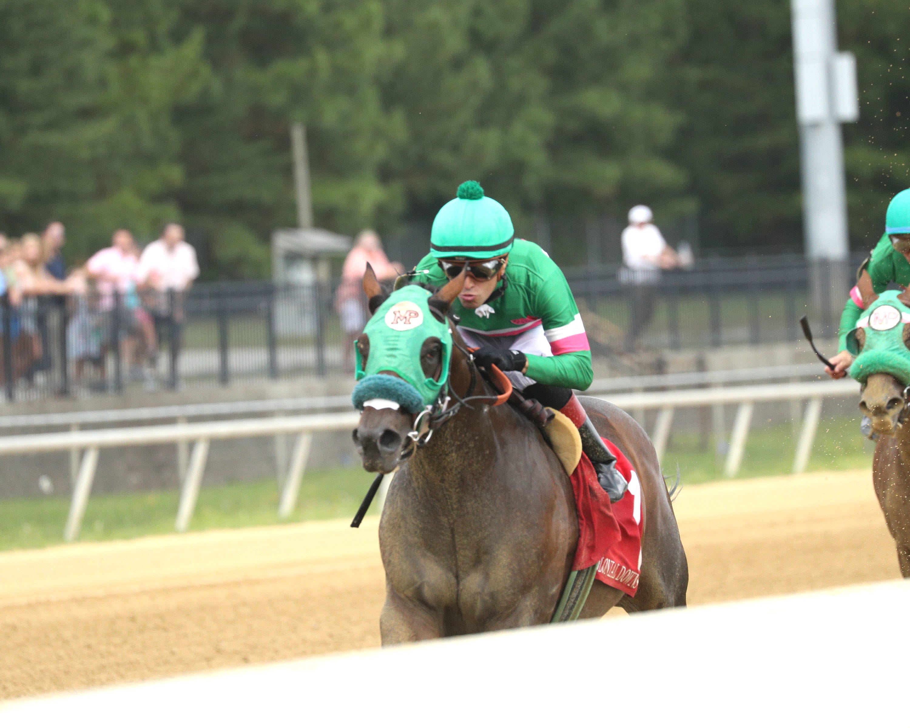 Patriot Spirit ready to go in Reigh Count after small injury